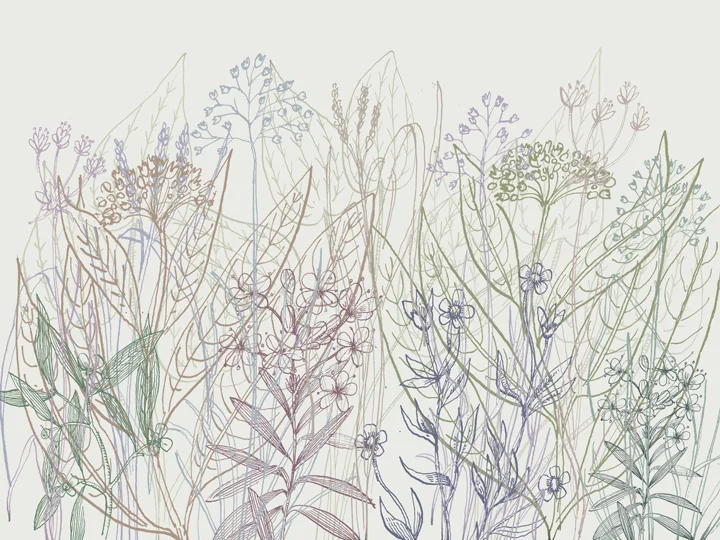 Abstract Artist Hal Mayforth - www.halmayforth.com