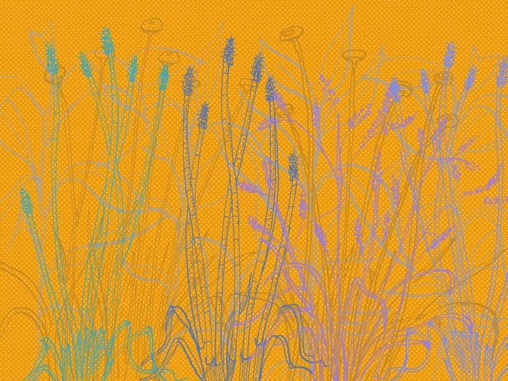 Abstract Artist Hal Mayforth - www.halmayforth.com