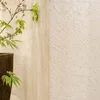 Clay Plaster | Eco Friendly & Natural — The Polished Plaster Company