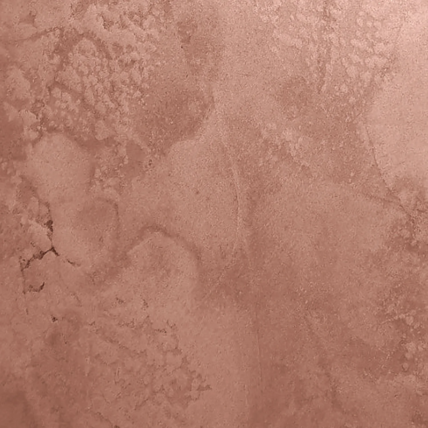 The Polished Plaster Company