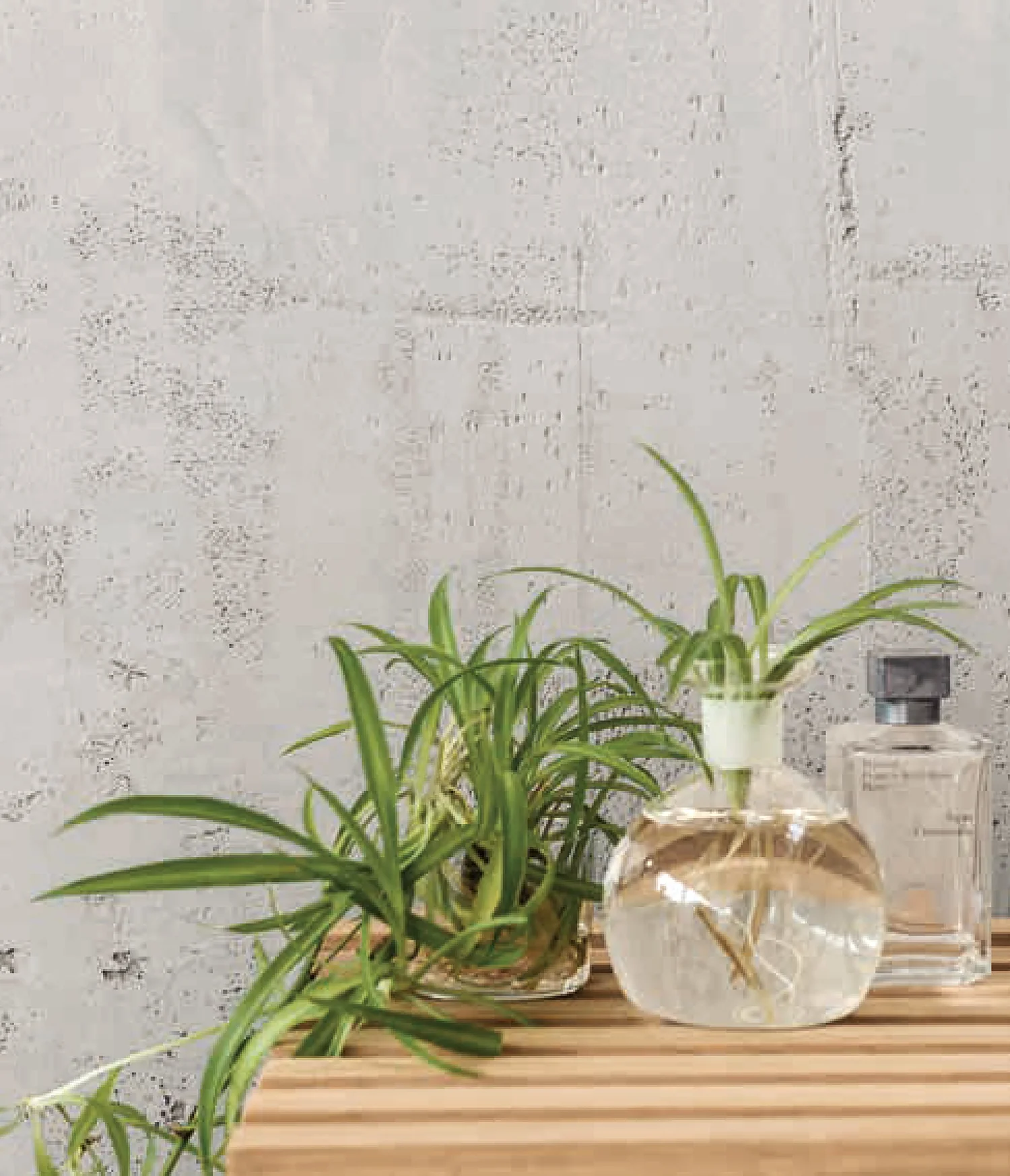 Lime Concrete Finishes — The Polished Plaster Company