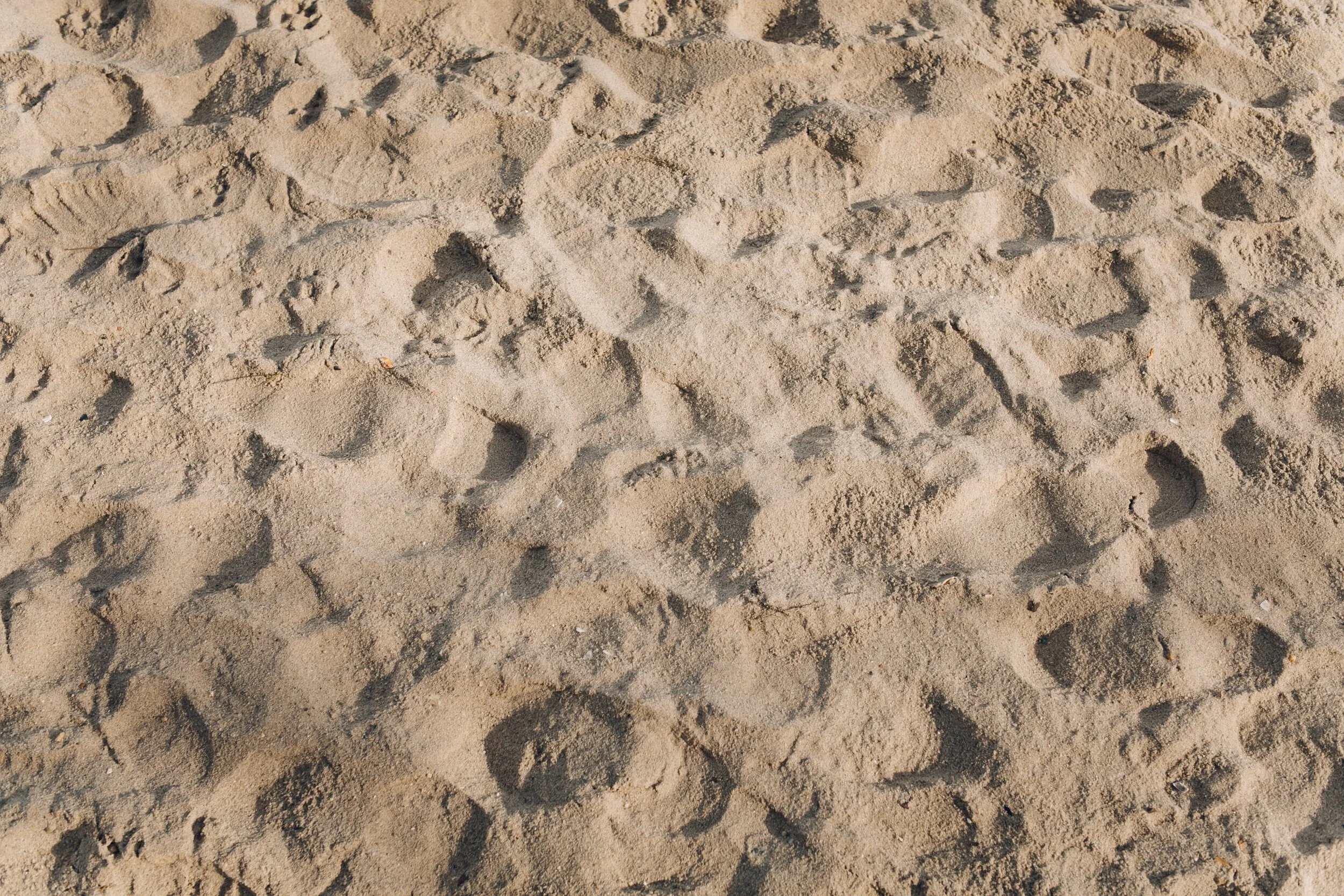 Beach Textures