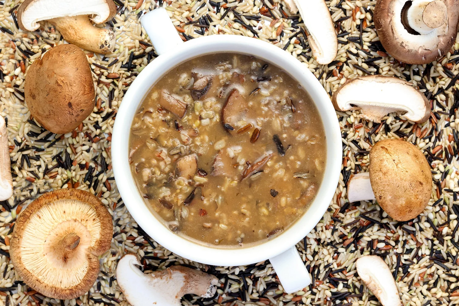 All-Day Menu — Fermentation Farm