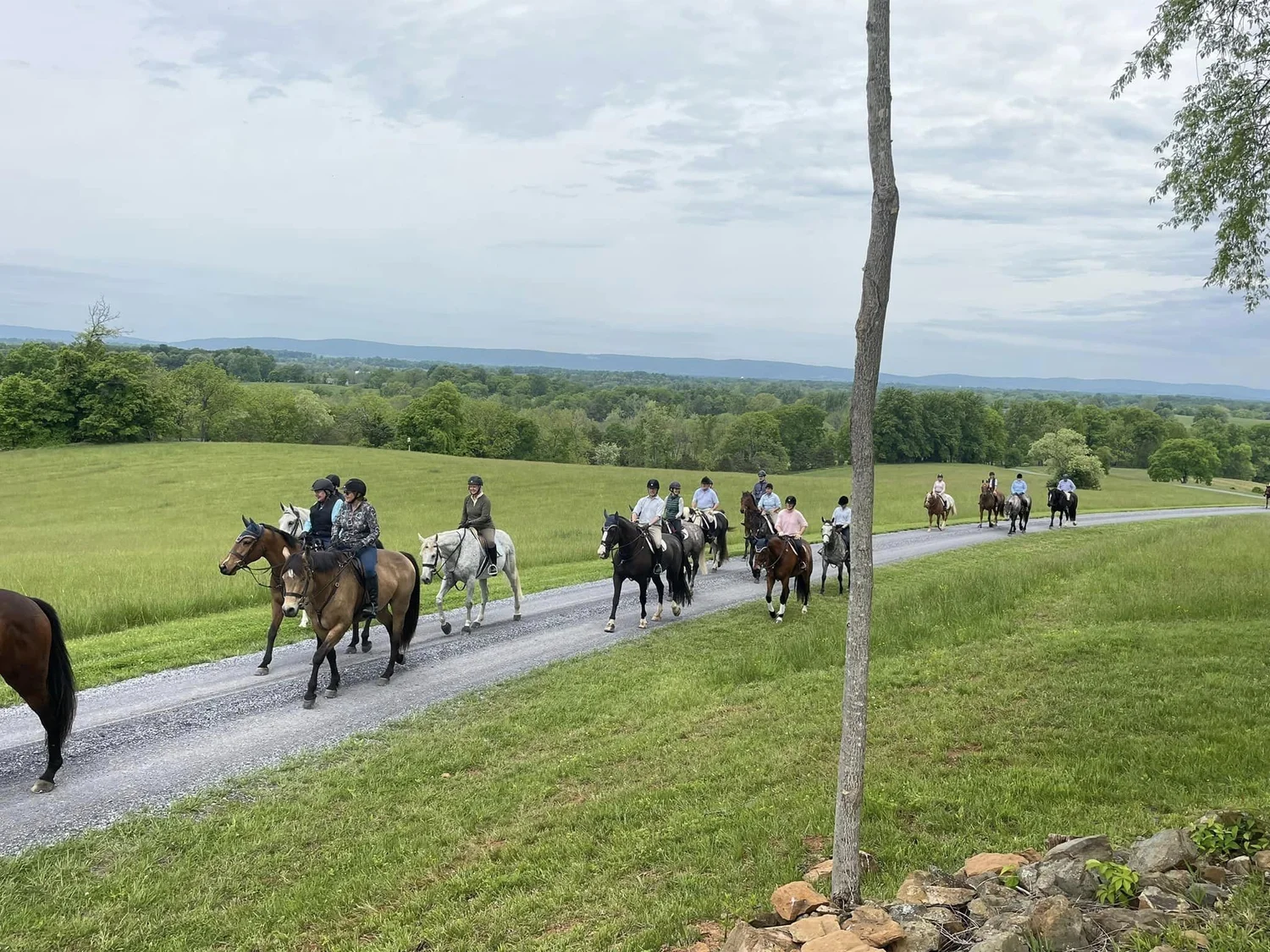 Bull Run Mountain Trail Ride — Virginia Piedmont Heritage Area