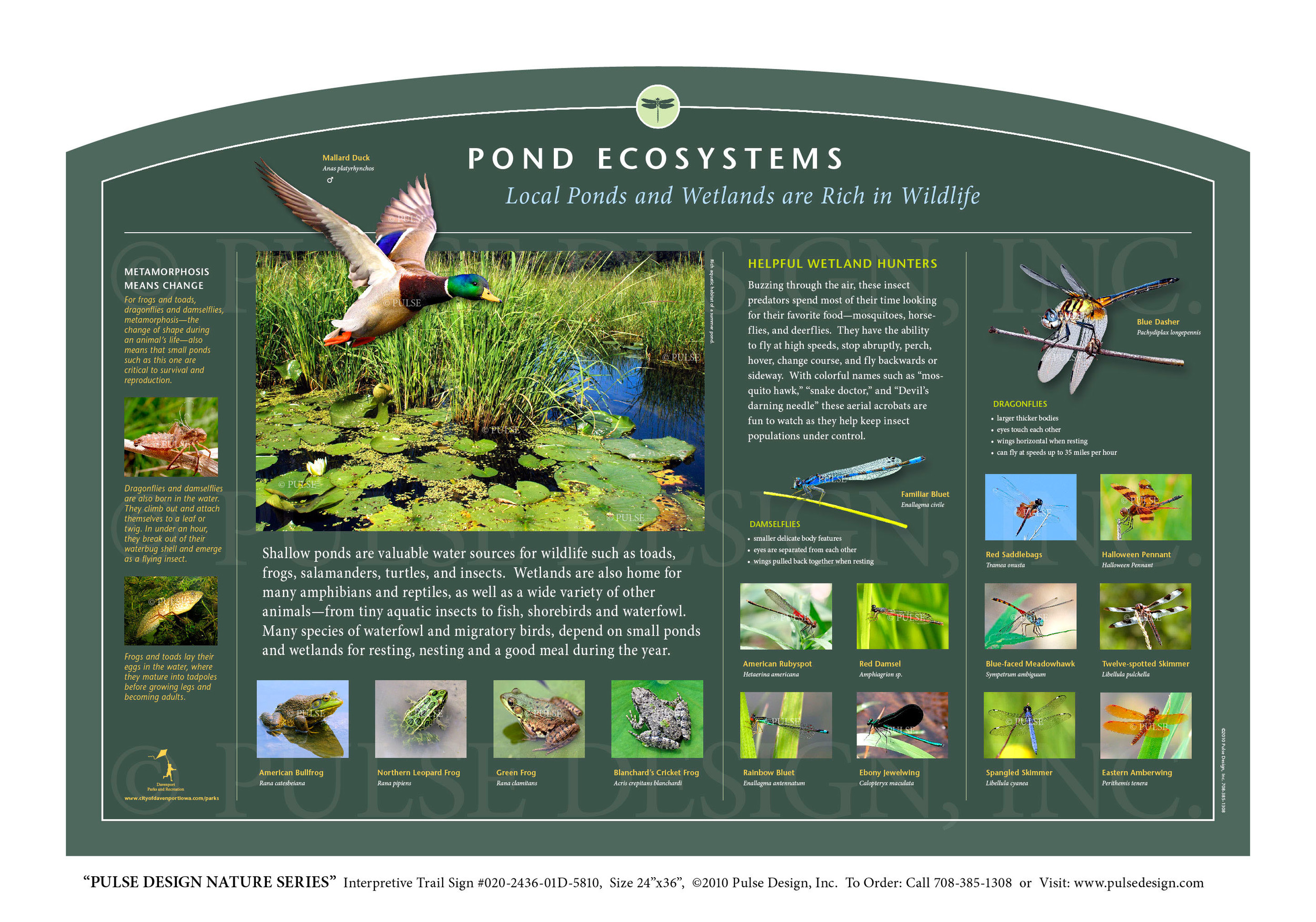 PDNS Water & Wetland Habitat Ecosystem Conservation Outdoor ...