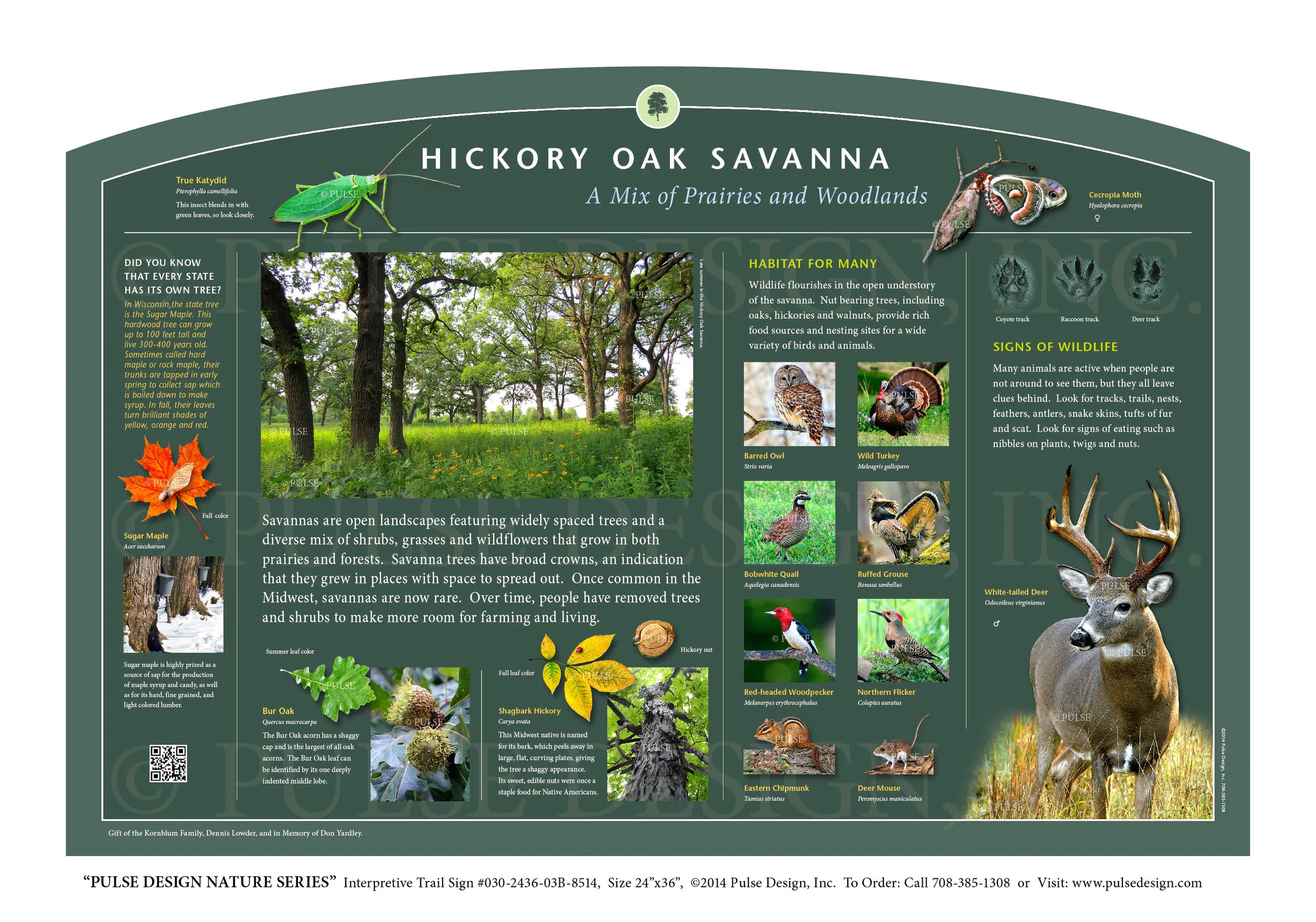 PDNS Prairie Meadow Grassland Habitat Ecosystem Conservation Outdoor ...