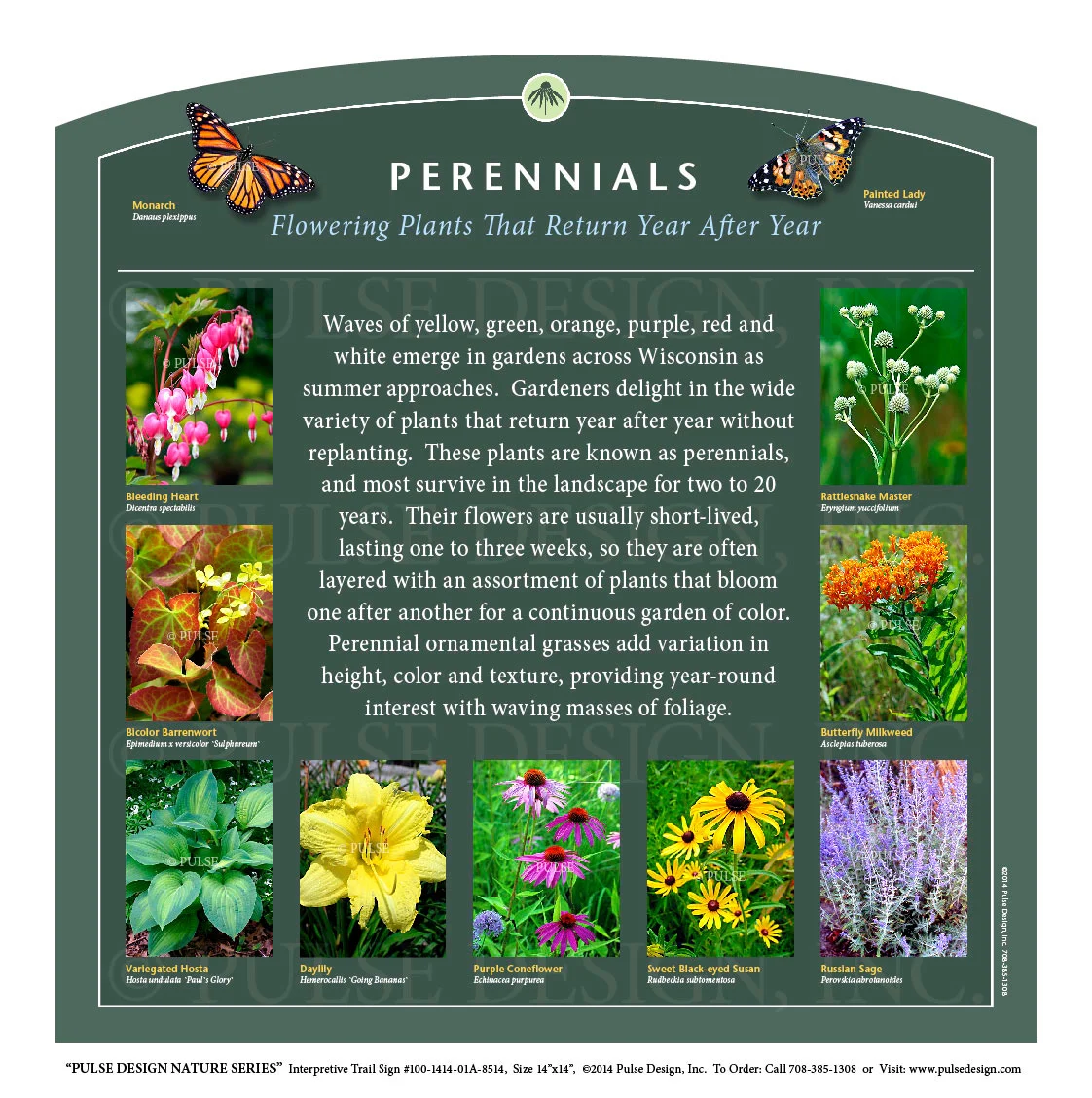 PDNS Plant Species Invasive Poisonous Native Plant Identification ...