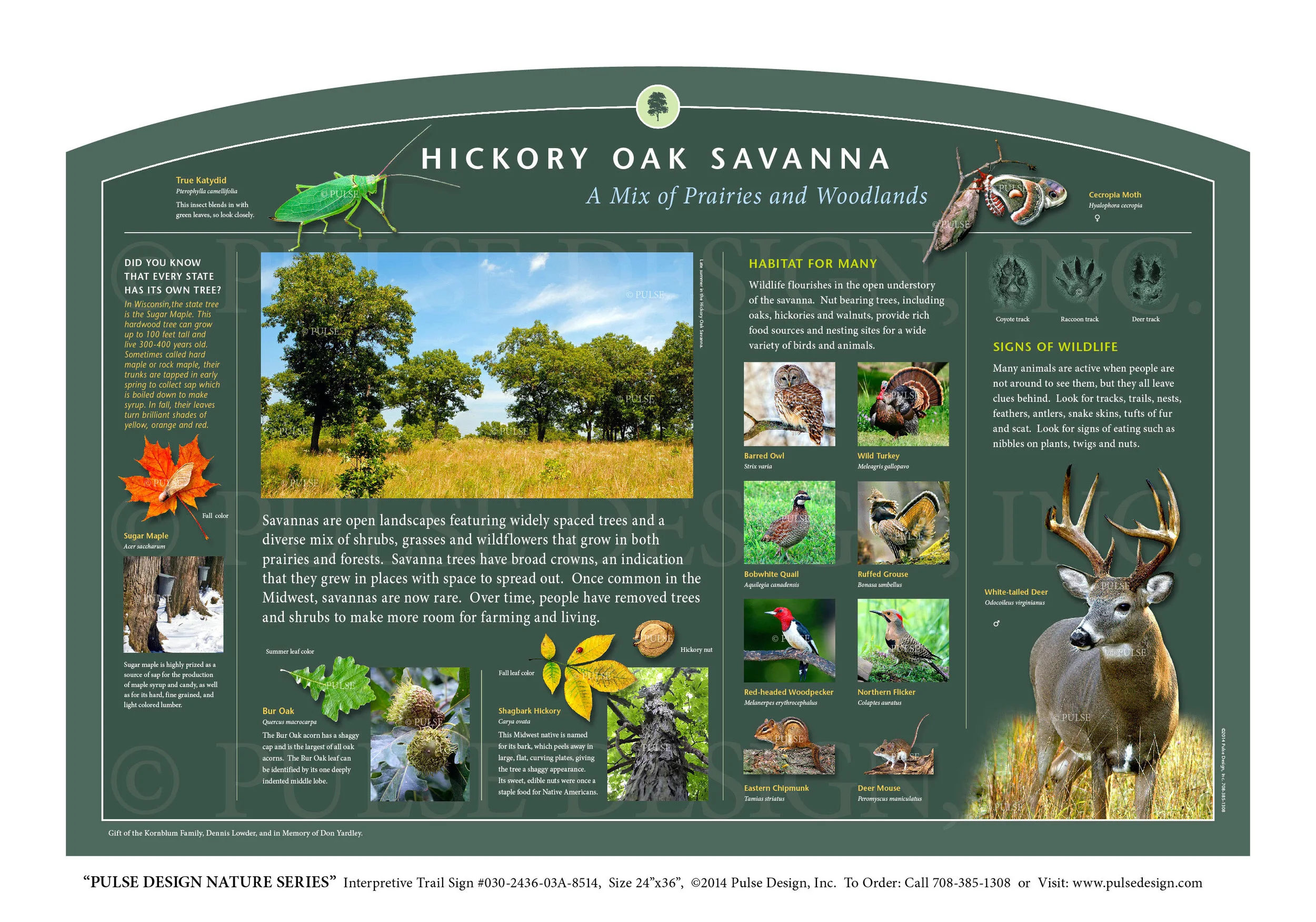 Outdoor Interpretive Nature Trail Sign in Prairie, Meadow & Grassland ...