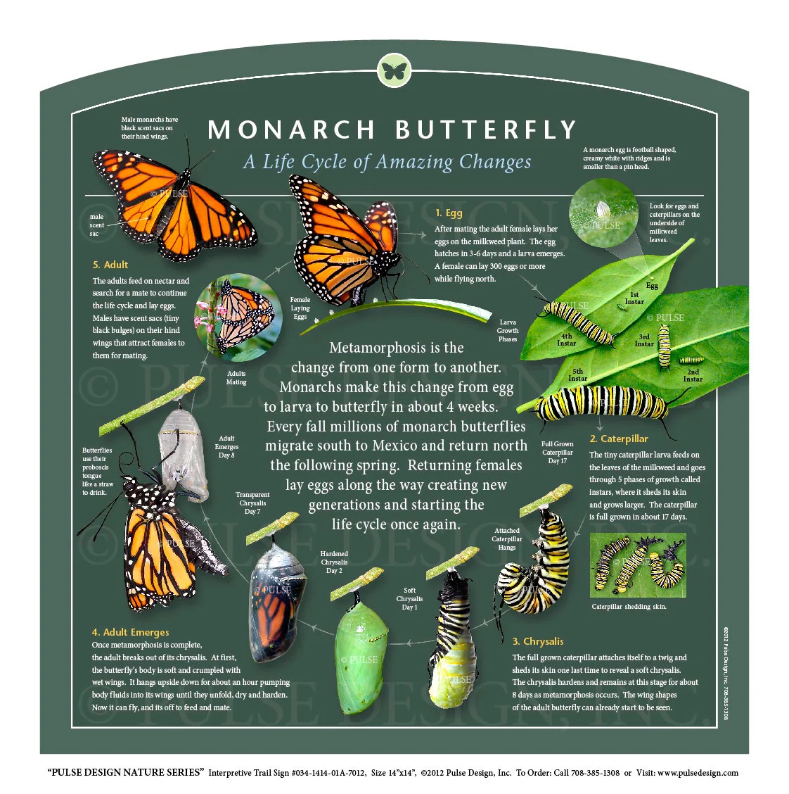 Outdoor Interpretive Nature Trail Sign in Insect & Pollinator Series ...