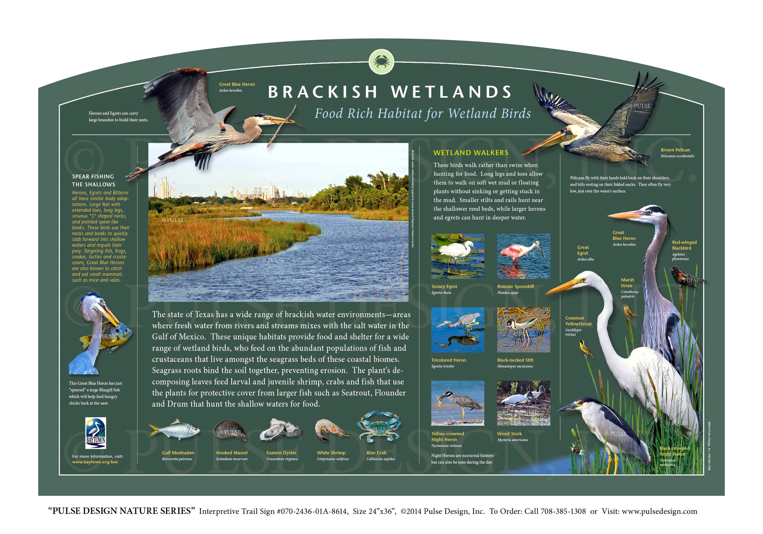 Outdoor Interpretive Nature Trail Sign in Coastal Wetland & Dune ...