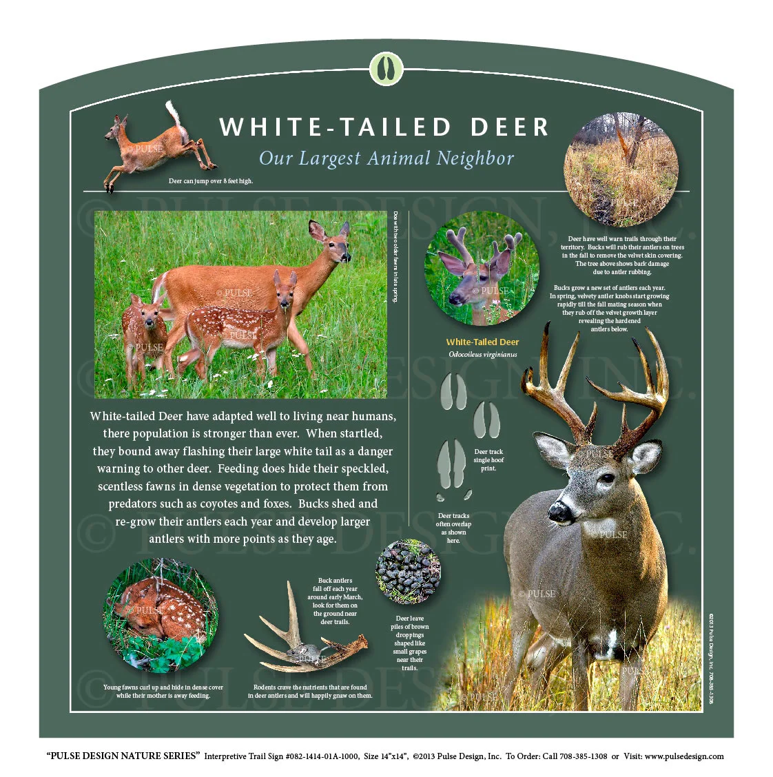 Outdoor Interpretive Nature Trail Sign in Animals & Wildlife Series ...