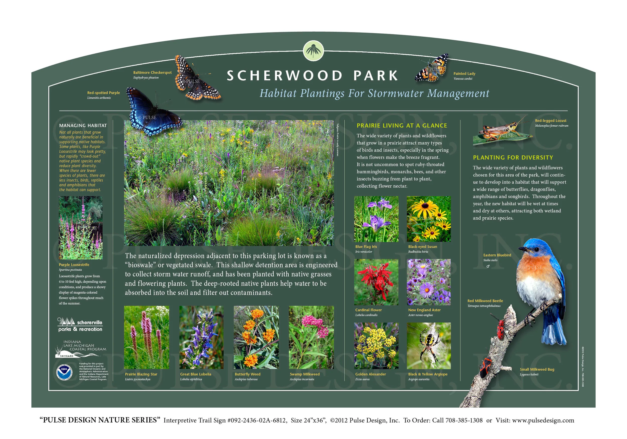 Outdoor Interpretive Nature Trail Sign in Stormwater & Runoff ...