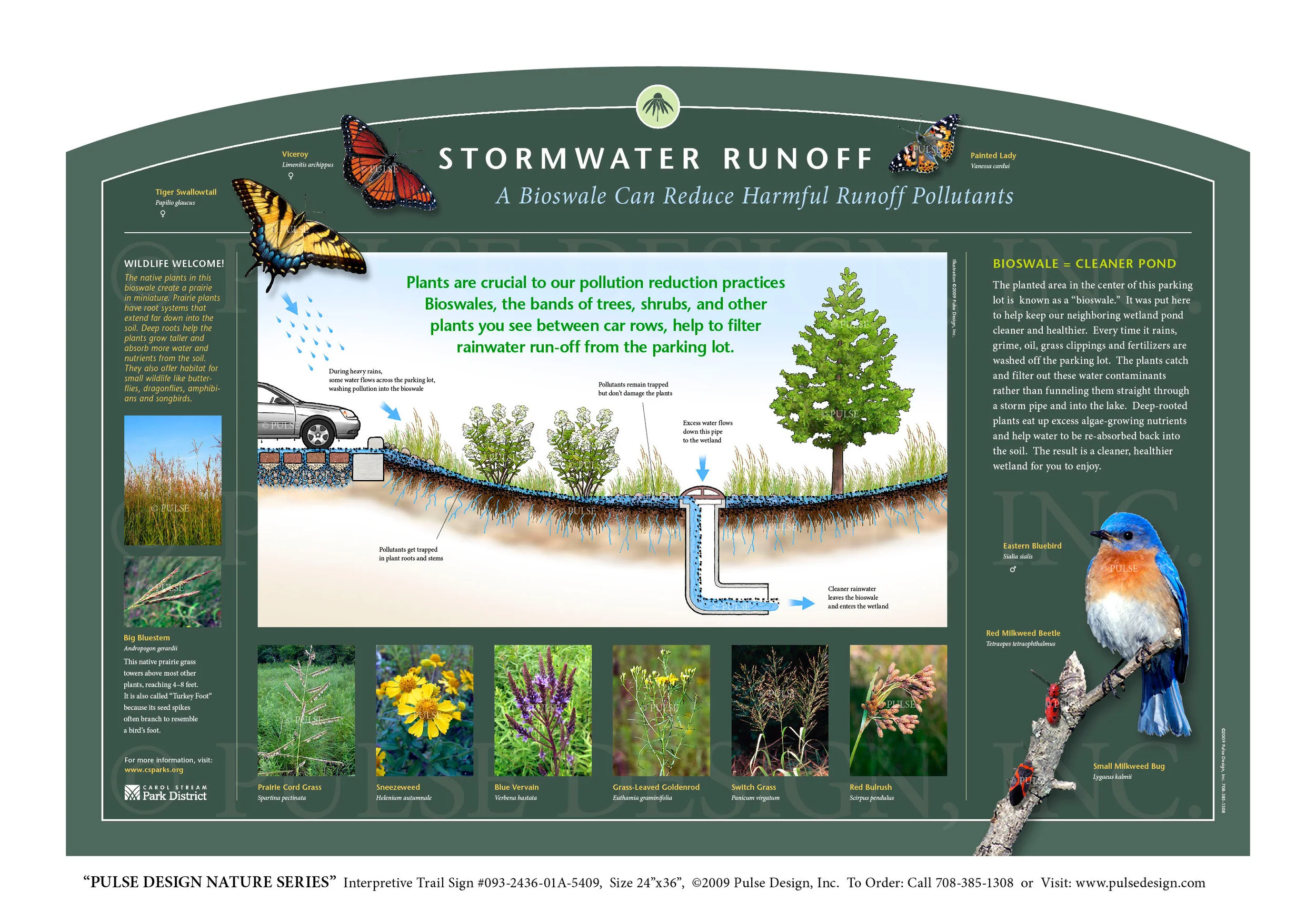 Outdoor Interpretive Nature Trail Sign in Stormwater & Runoff ...