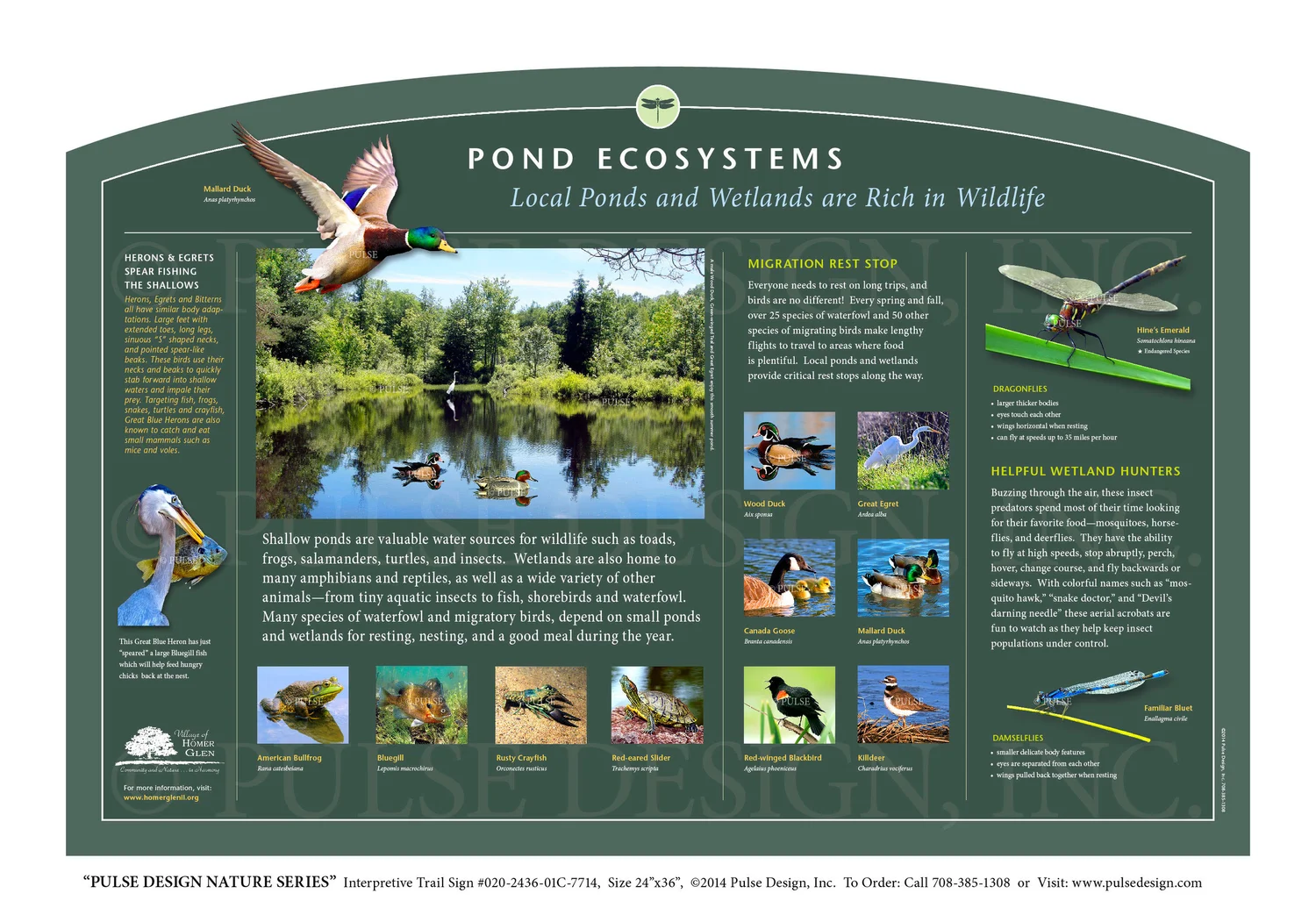 Outdoor Interpretive Nature Trail Sign in Water & Wetlands Habitat ...