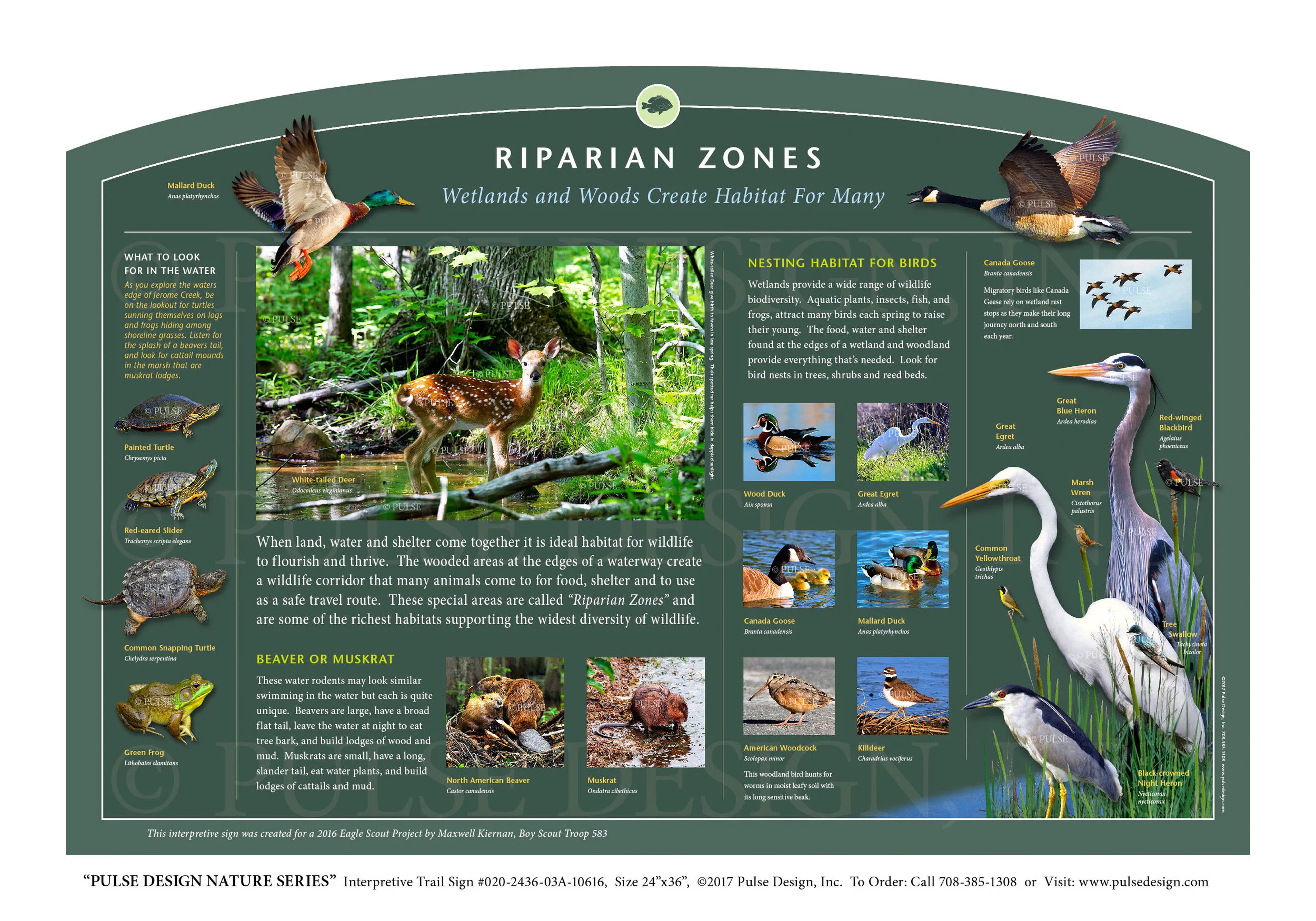 Outdoor Interpretive Signs Stream & Riparian Habitat Ecosystem ...
