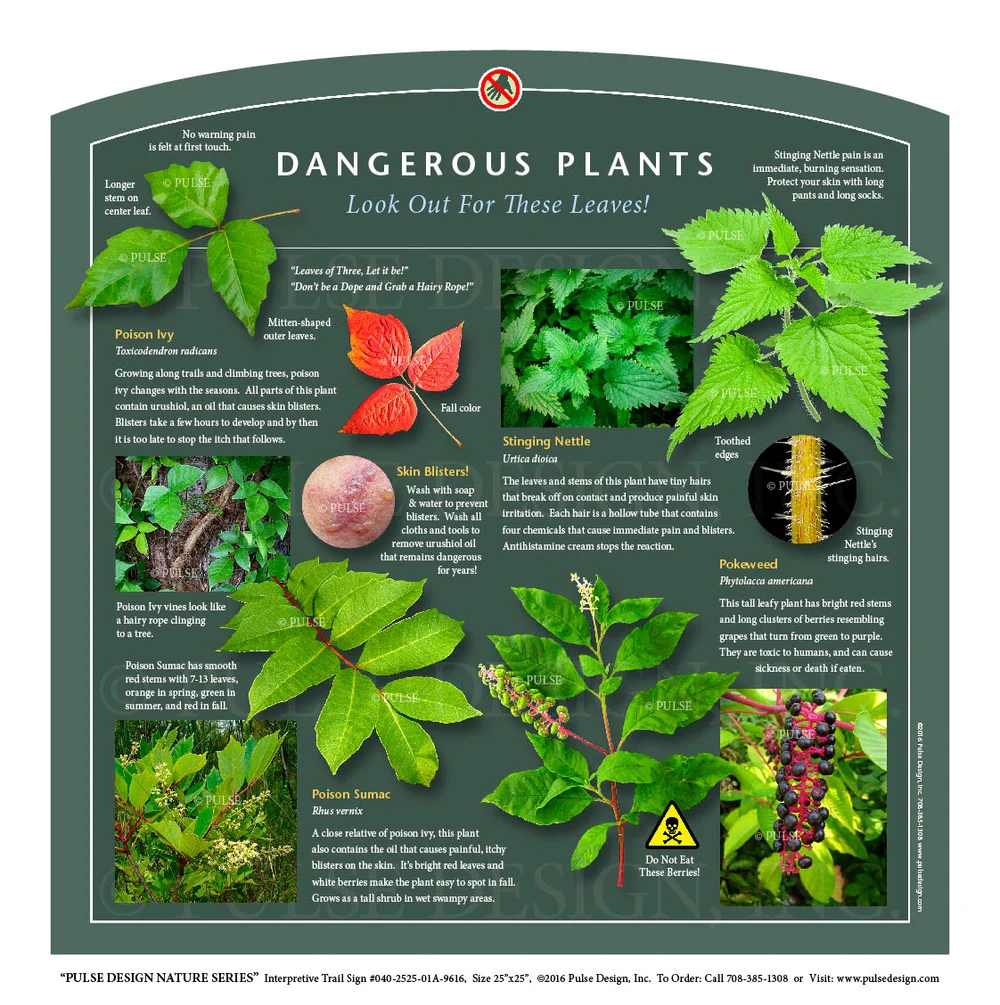 Outdoor Interpretive Nature Trail Sign in Forest & Woodlands Habitat ...