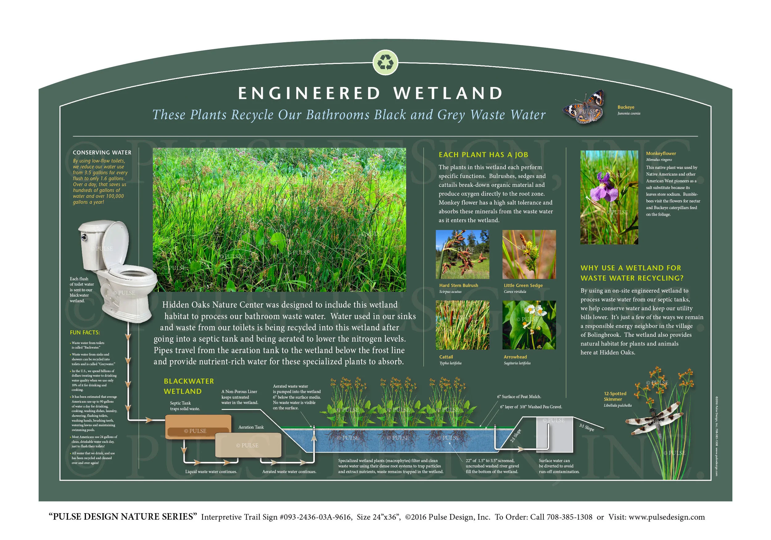 PDNS Stormwater Management Runoff Bioswale Rain Garden Outdoor ...
