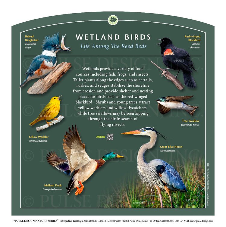Outdoor Interpretive Nature Trail Sign in Birds of Wetlands & Waterfowl ...
