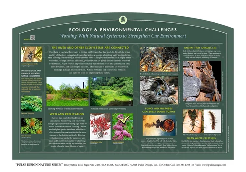 Outdoor Interpretive Nature Trail Sign in Water & Wetland Habitat ...