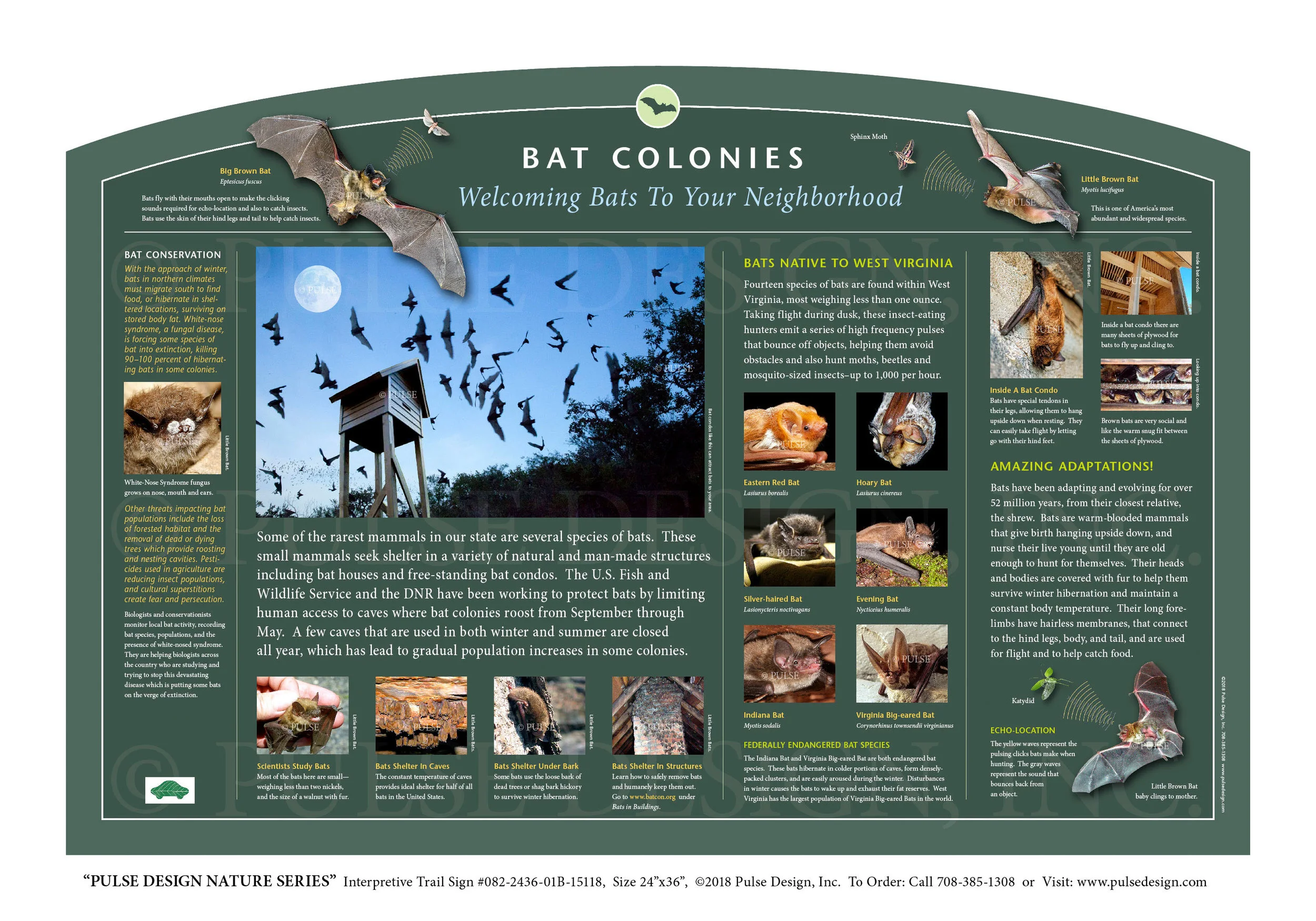 PDNS Animals & Wildlife Track Scat Identification Guides North America ...