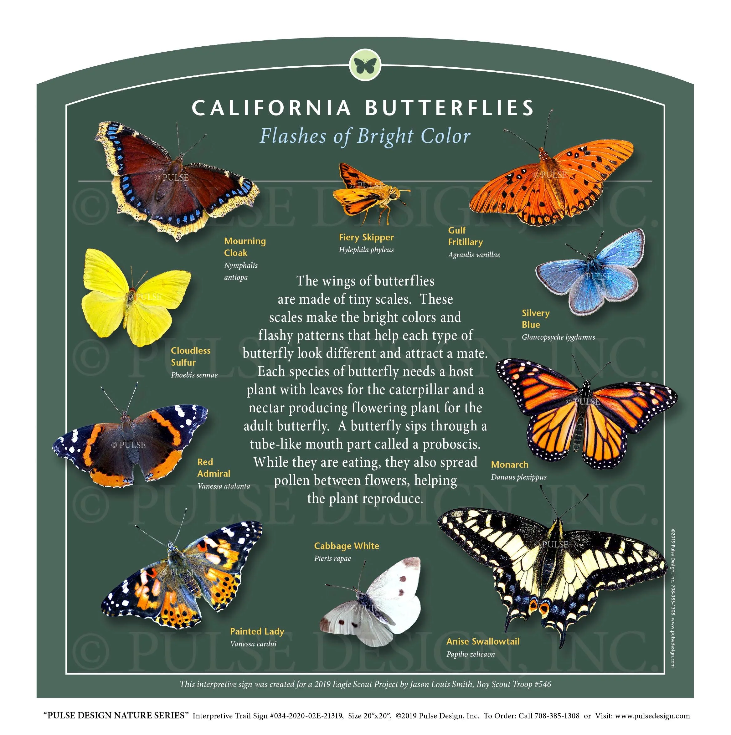 Outdoor Interpretive Signs Butterfly Moth Identification Guides ...