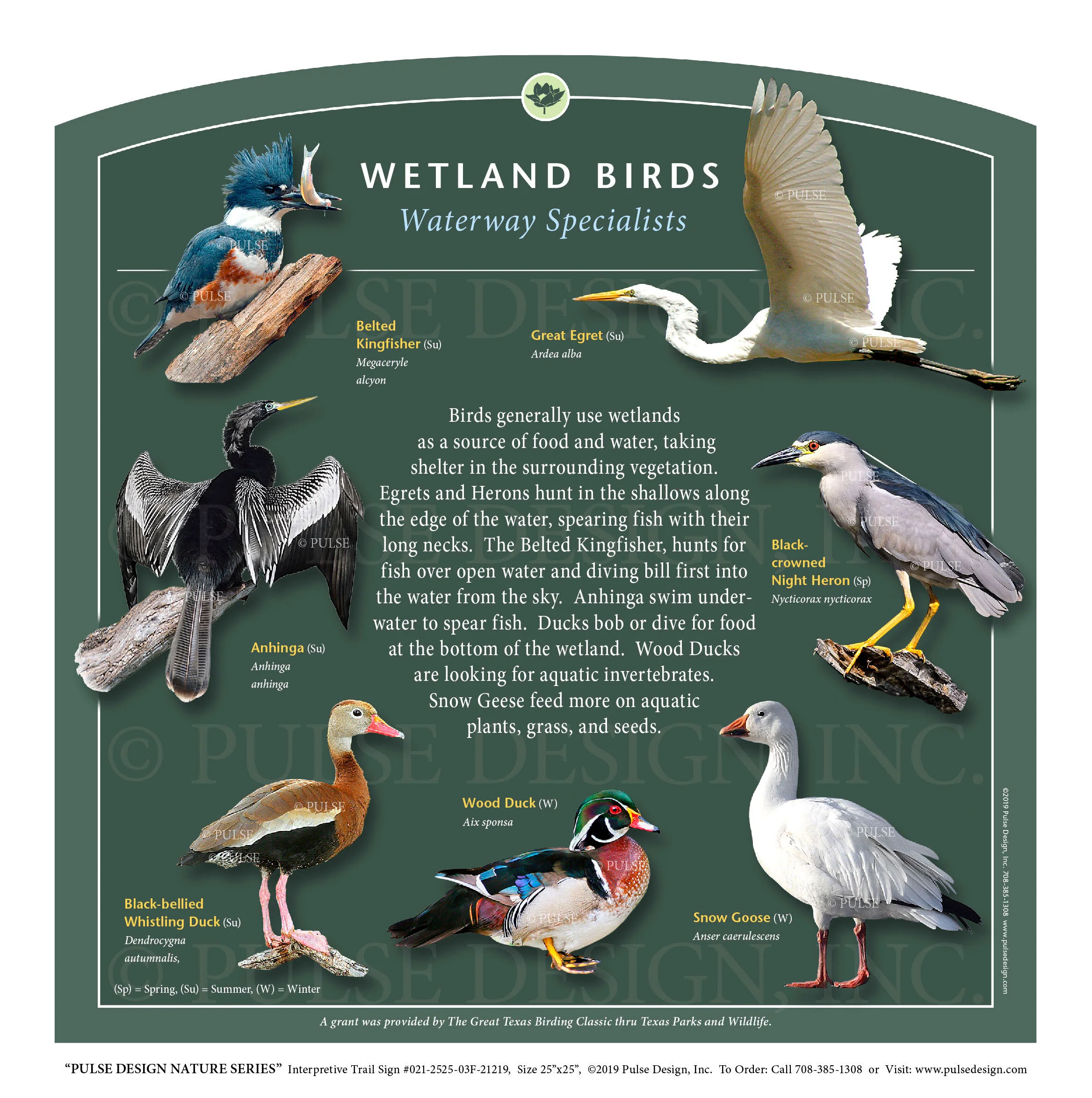 Outdoor Interpretive Sign: Wetland Birds, Guide, Kingfisher, Anhinga ...