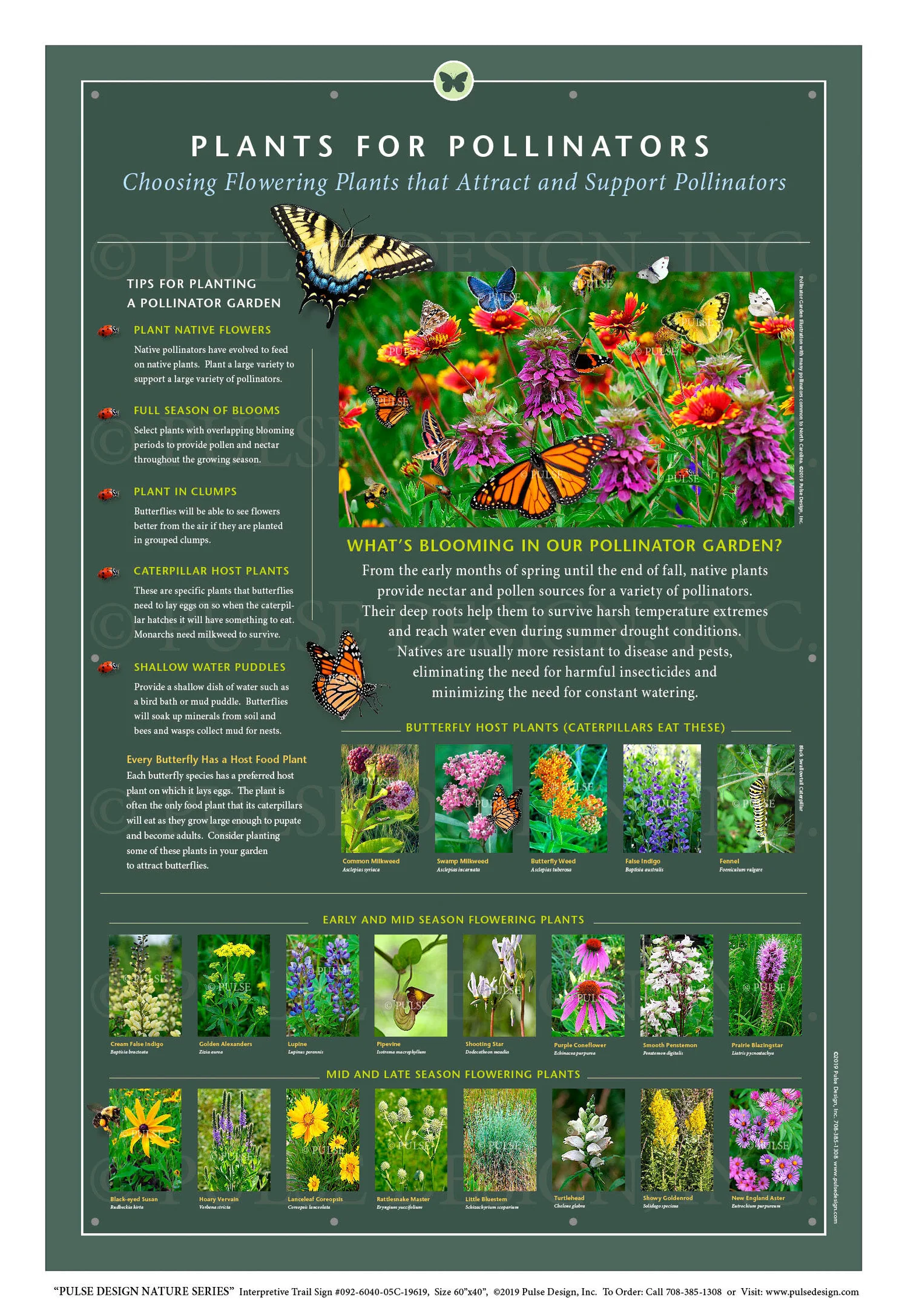 Outdoor Interpretive Sign: Pollinator Garden, Flowering Native Plants ...