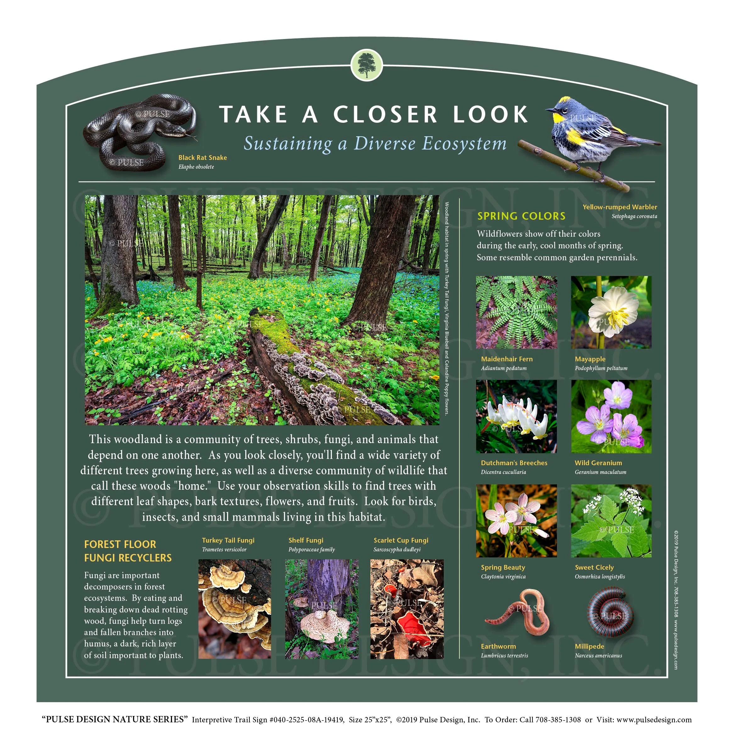 Outdoor Interpretive Sign: Forest Floor, Habitat, Guide, Rotting Log ...