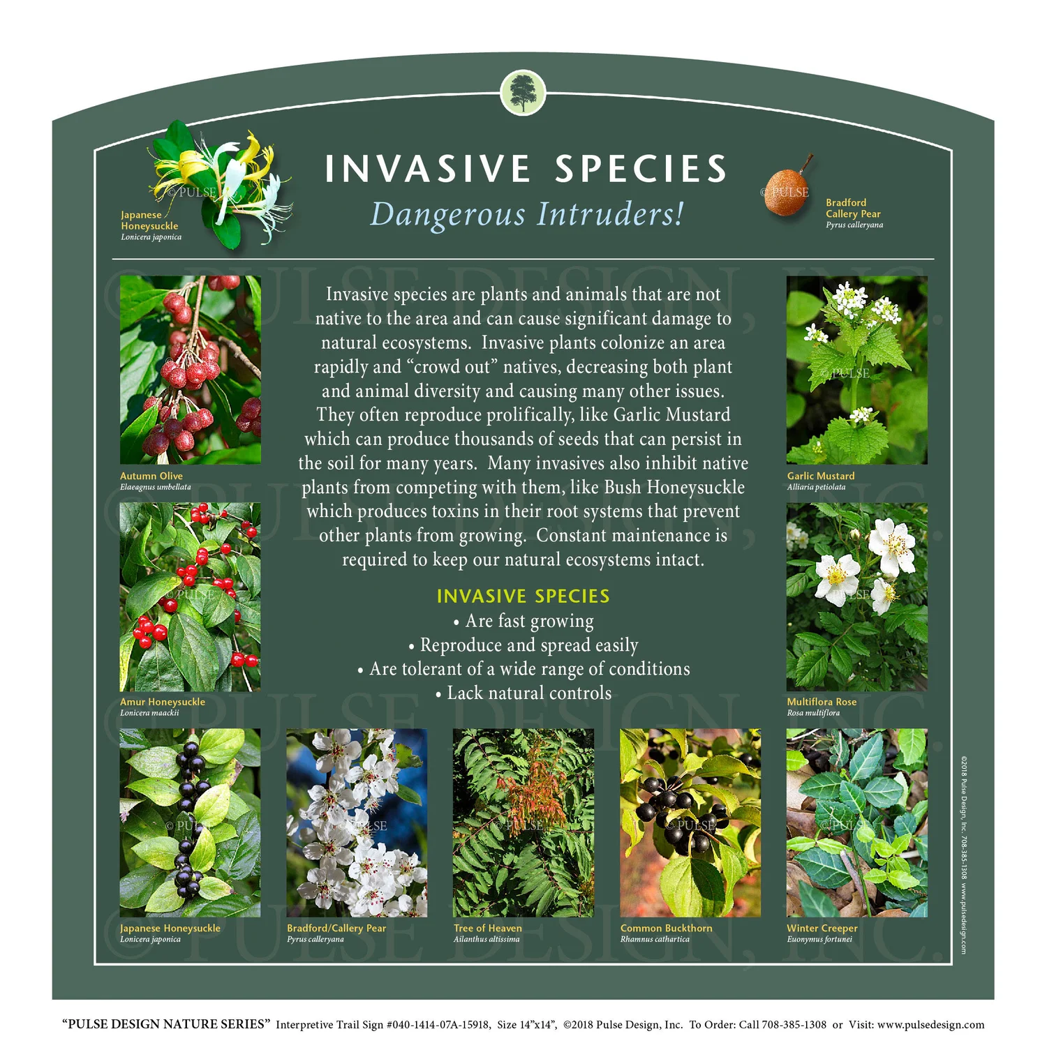 Outdoor Interpretive Sign: Invasive Species, Woodland, Restoration ...