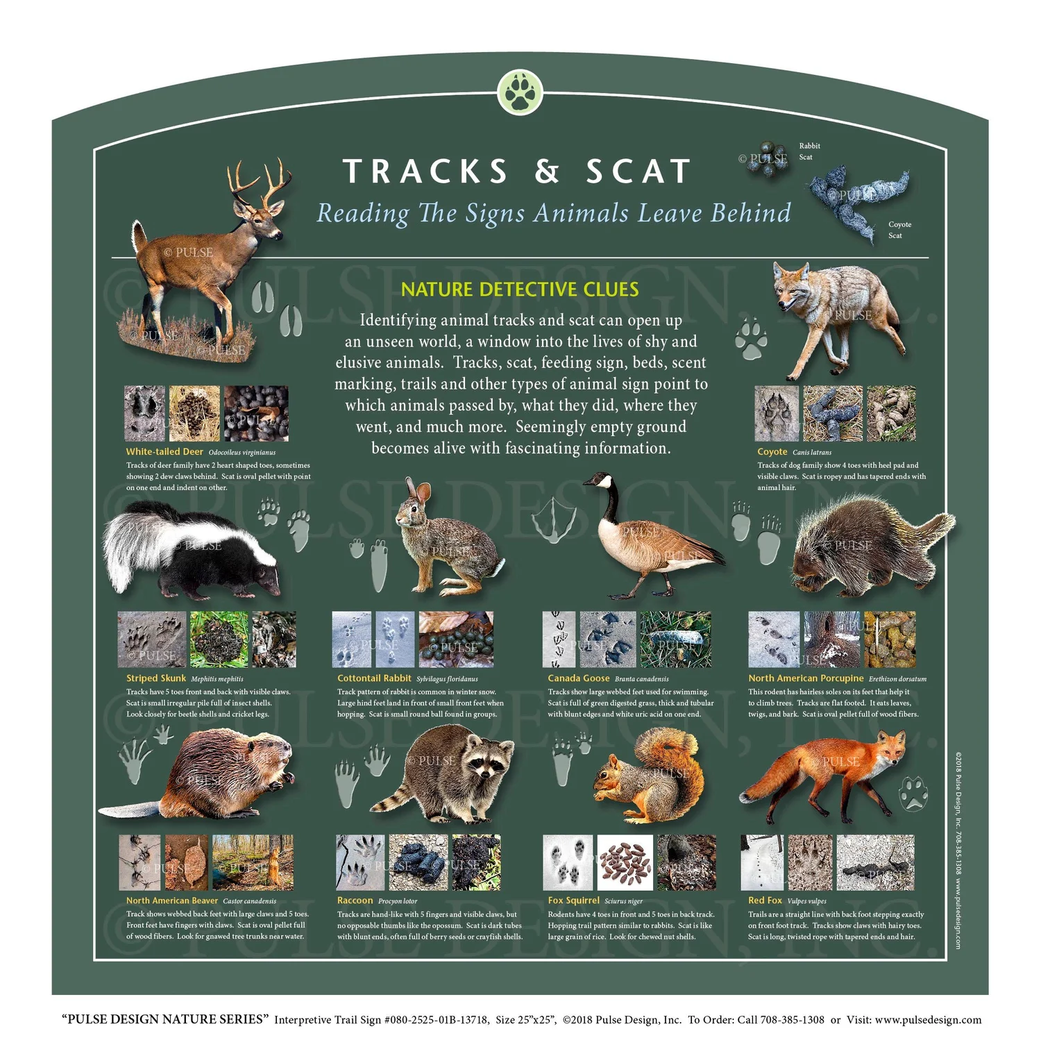 Outdoor Interpretive Sign: Animal, ID Guide, Tracks & Scat, Deer ...