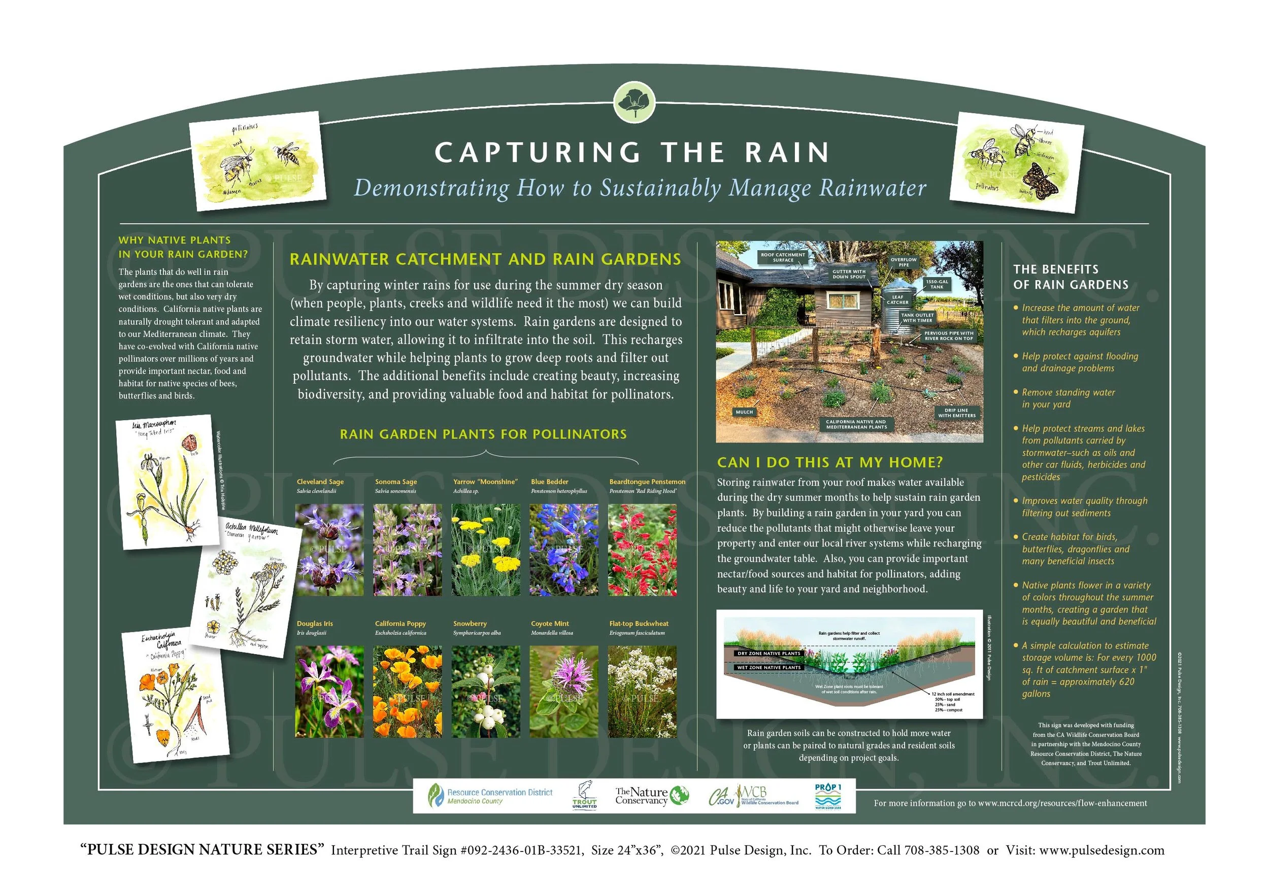 California Rain Garden Layout Pacific Horticulture | Thriving Water