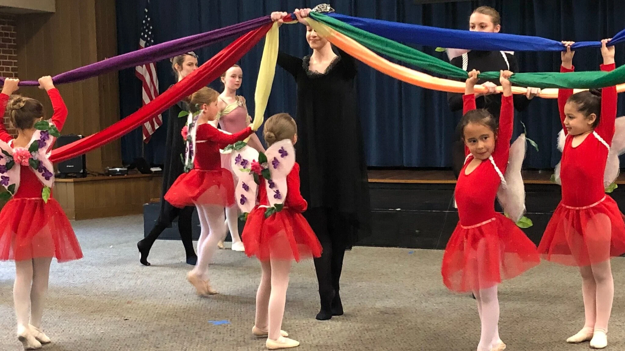 Ballet Classes — PDVBalletDanceStudioTallahassee