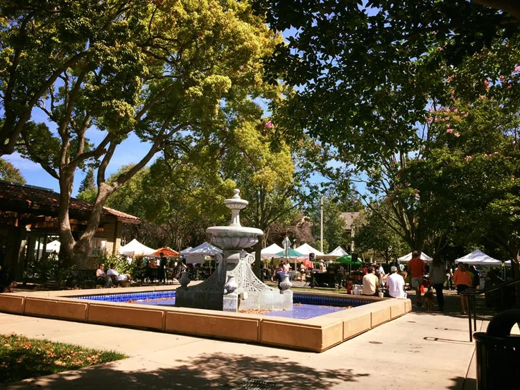 Santa Clara - SAT — Urban Village Farmers' Markets