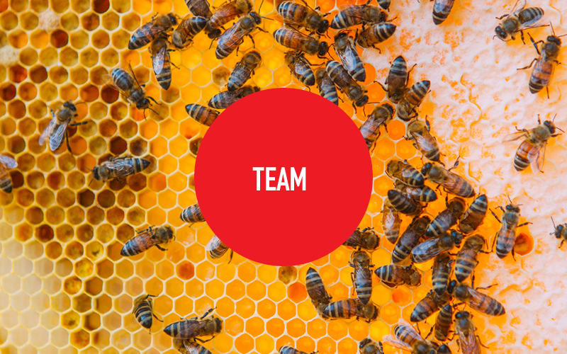 Careers: NYC, SF, Boston, & Chicago | LaunchSquad