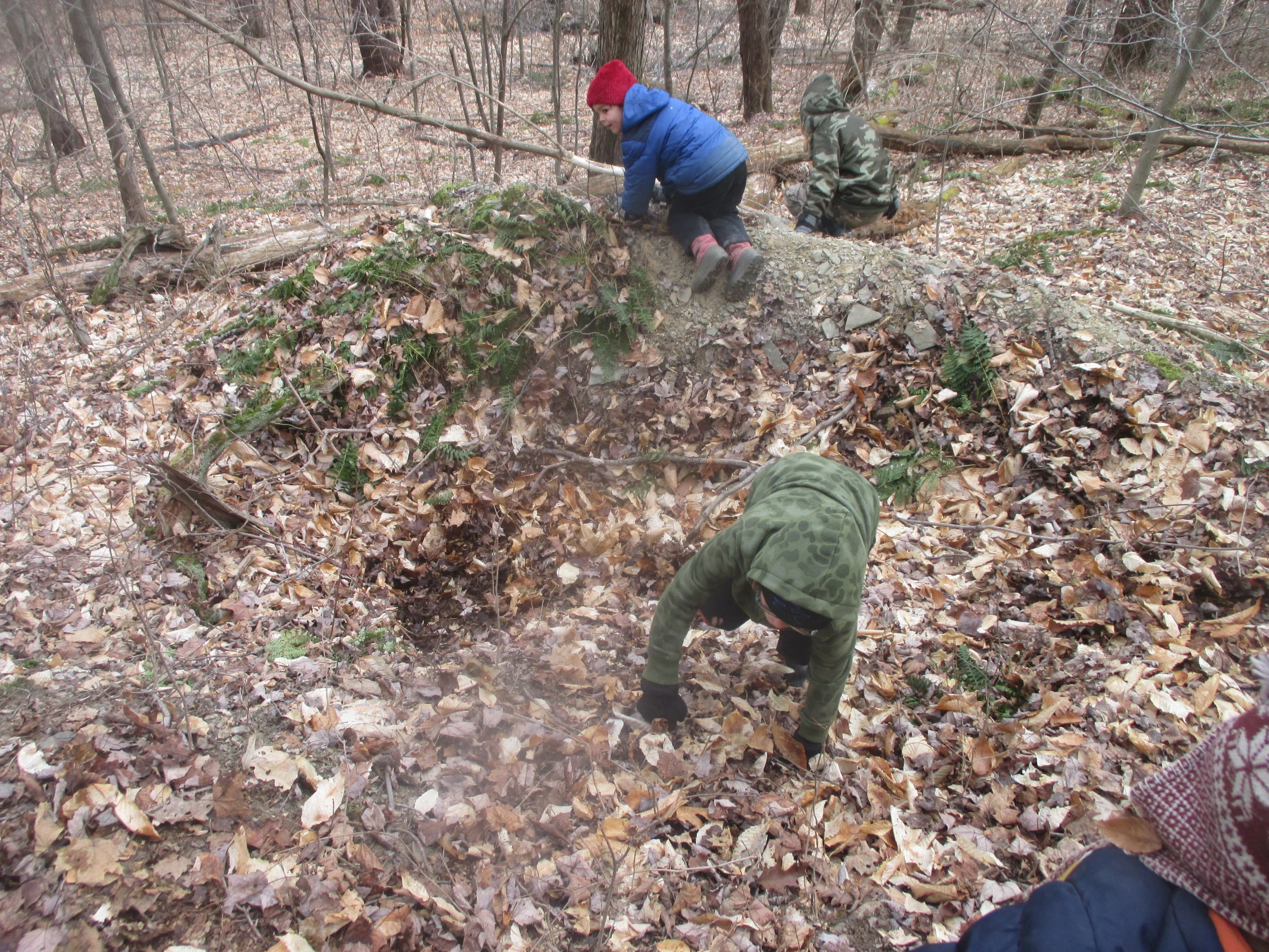 UNEVEN GROUND — Twisted Tree Farm