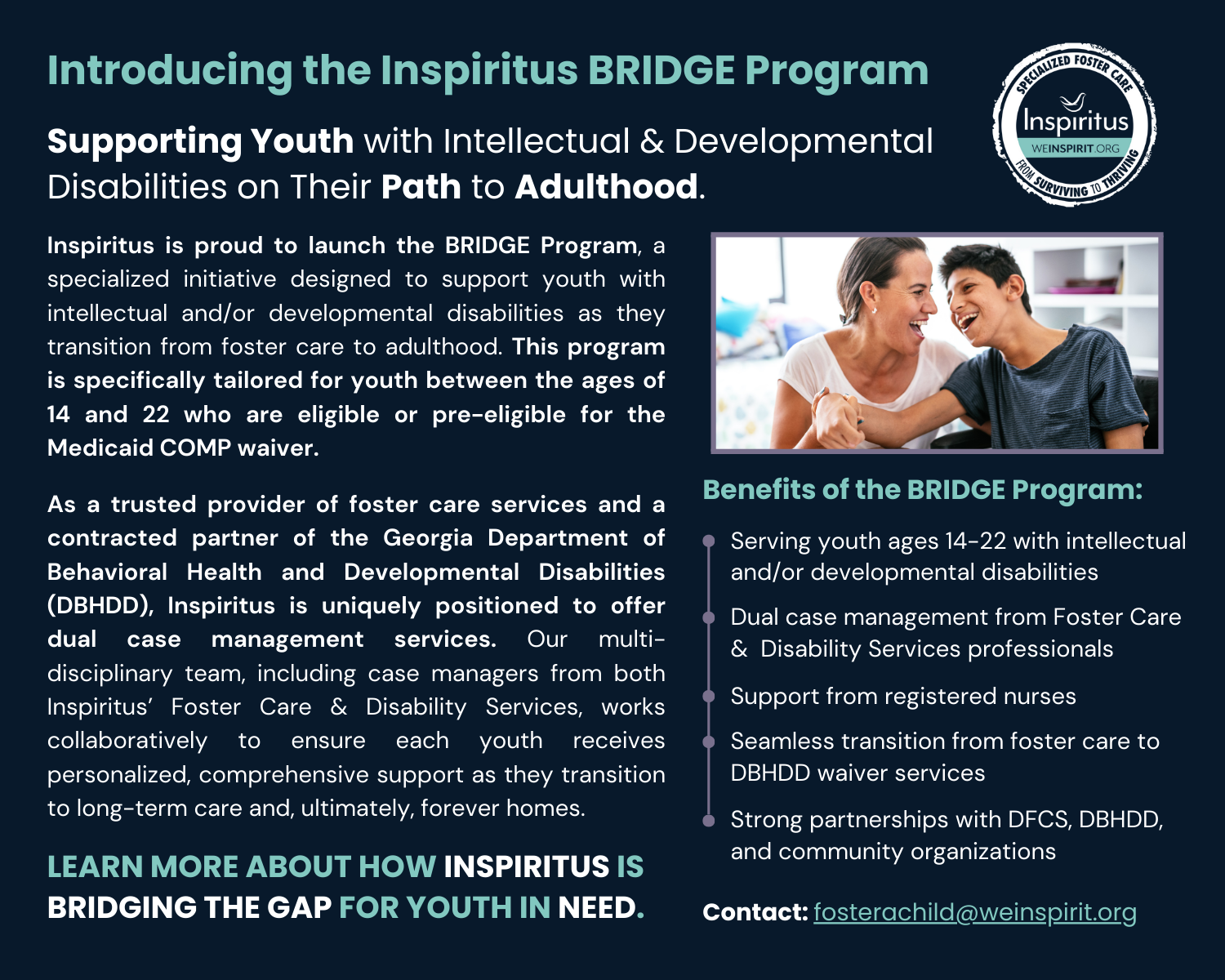Disability Services Insp — Inspiritus