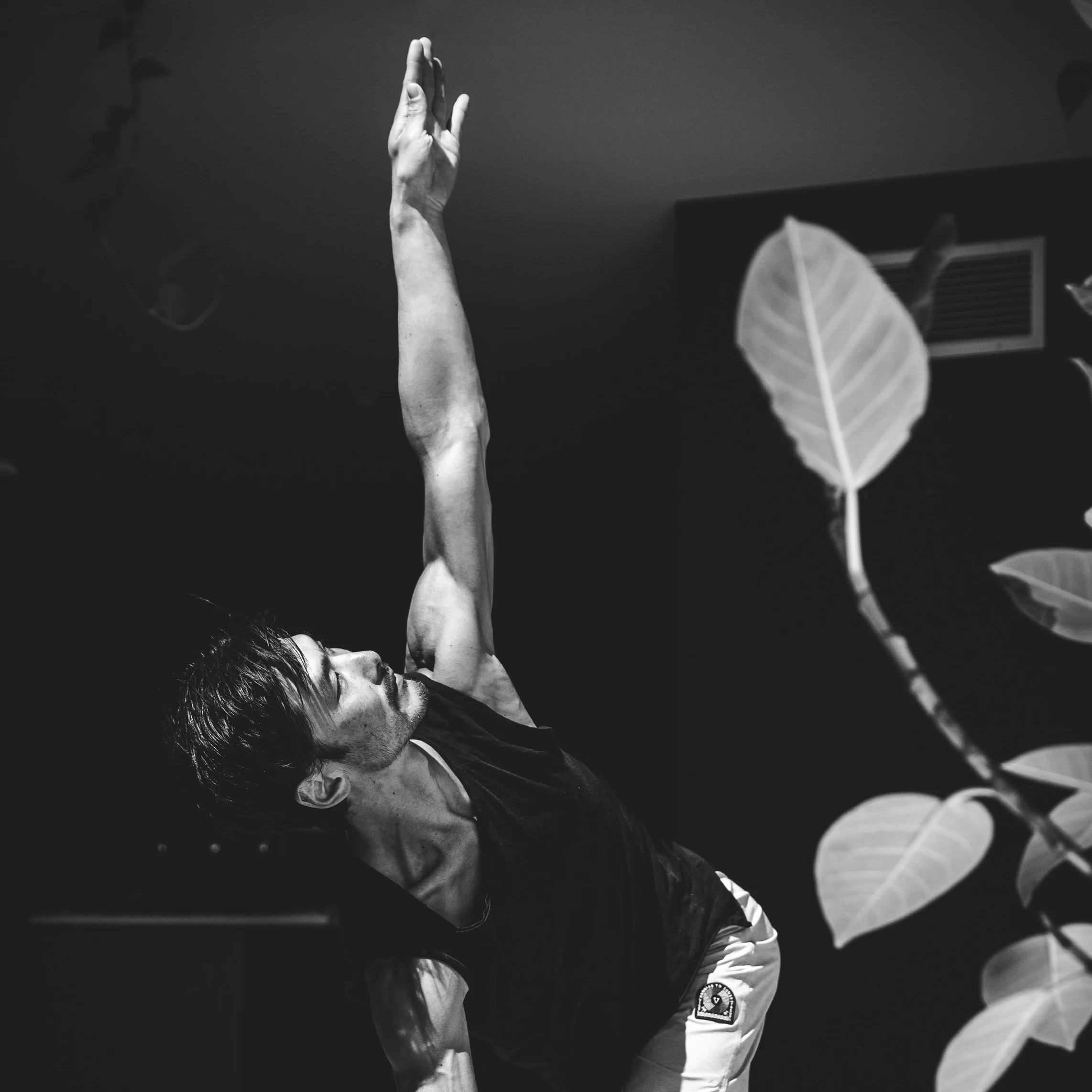 Liquid Flow Yoga