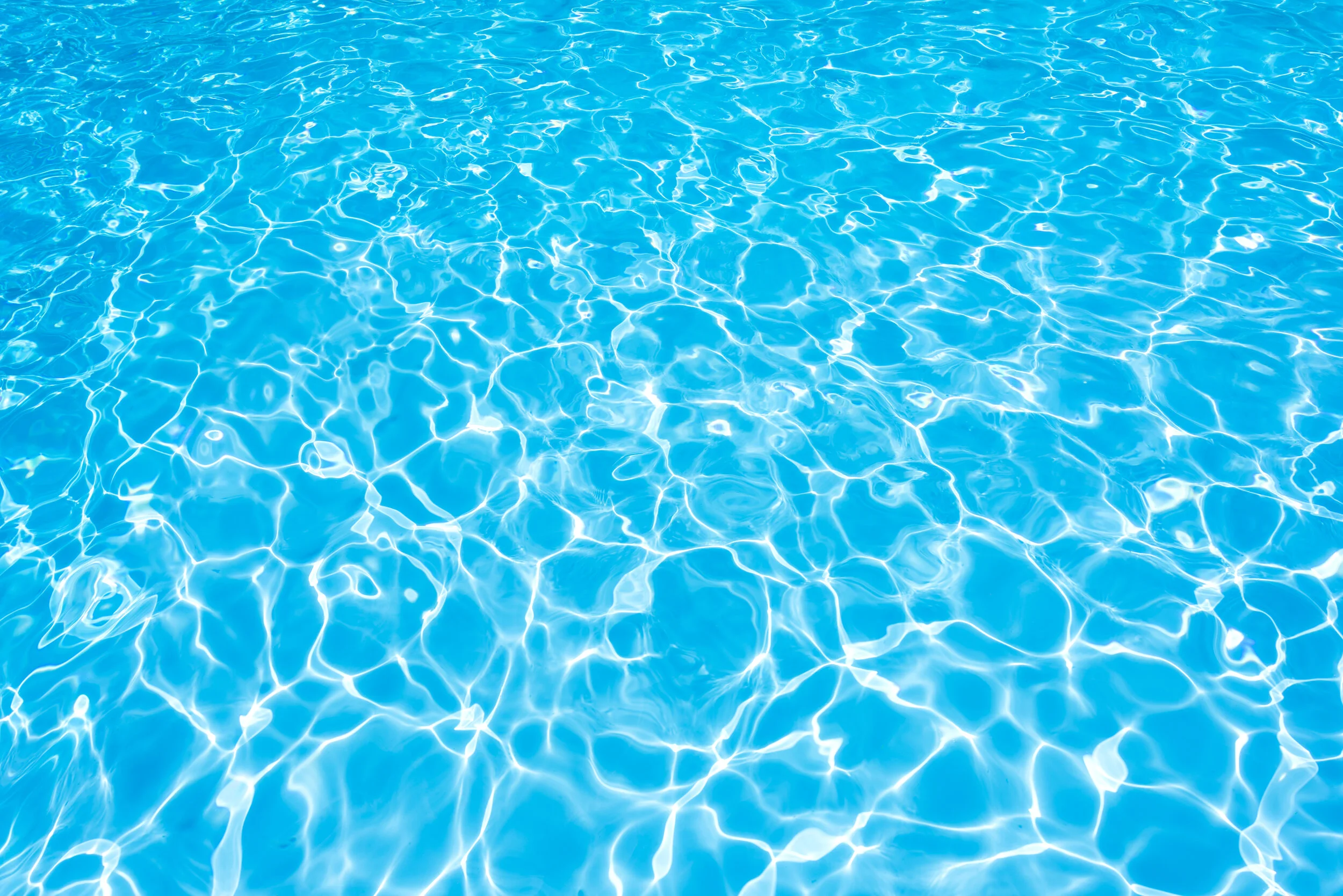 Shipping Container Pools Pricing — Trek Pools