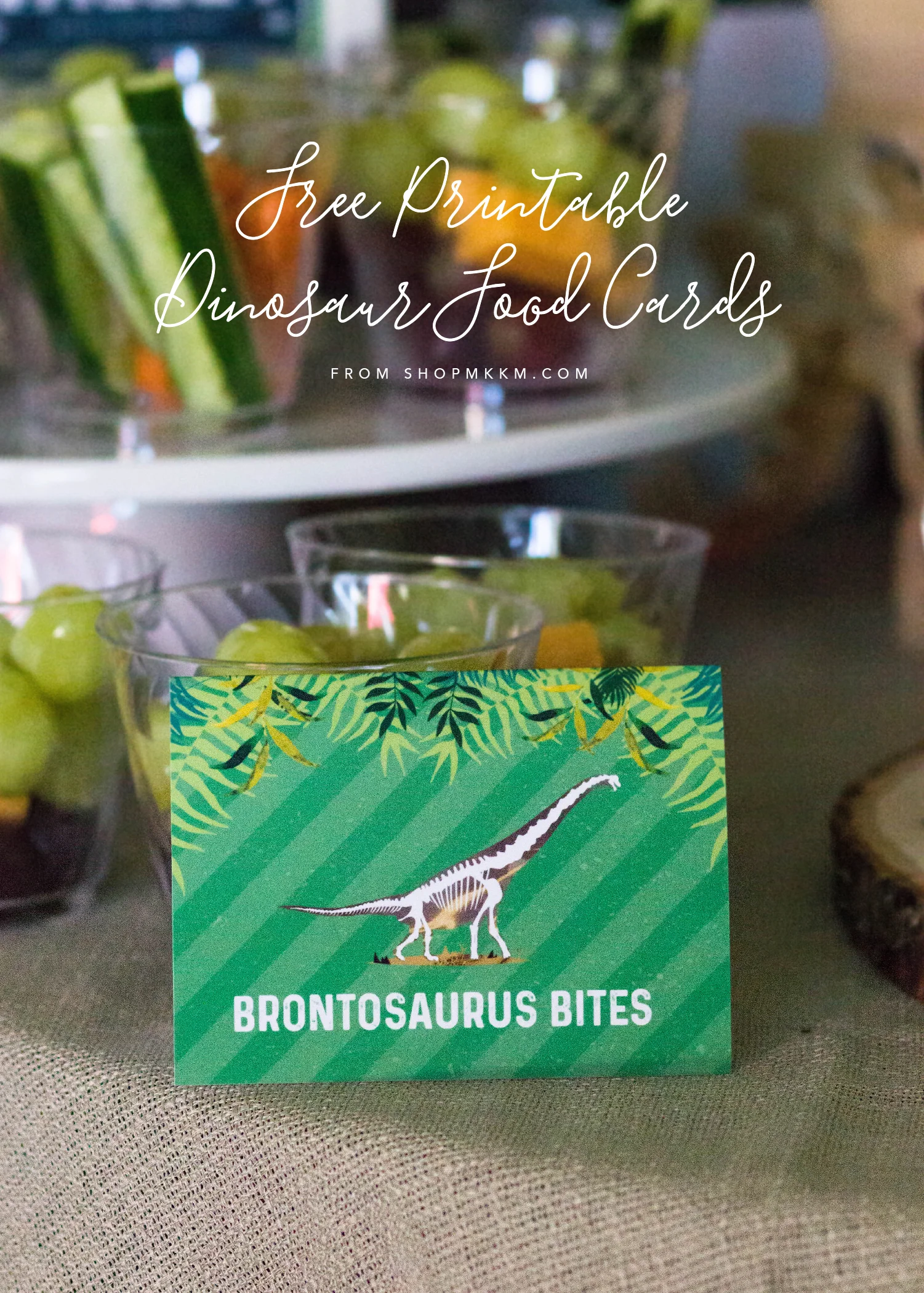 Dinosaur Dig Party & Free Printable Food Cards — Merry + Grace Design Co.