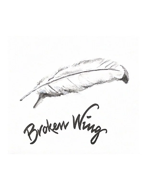 Broken Wings Drawing