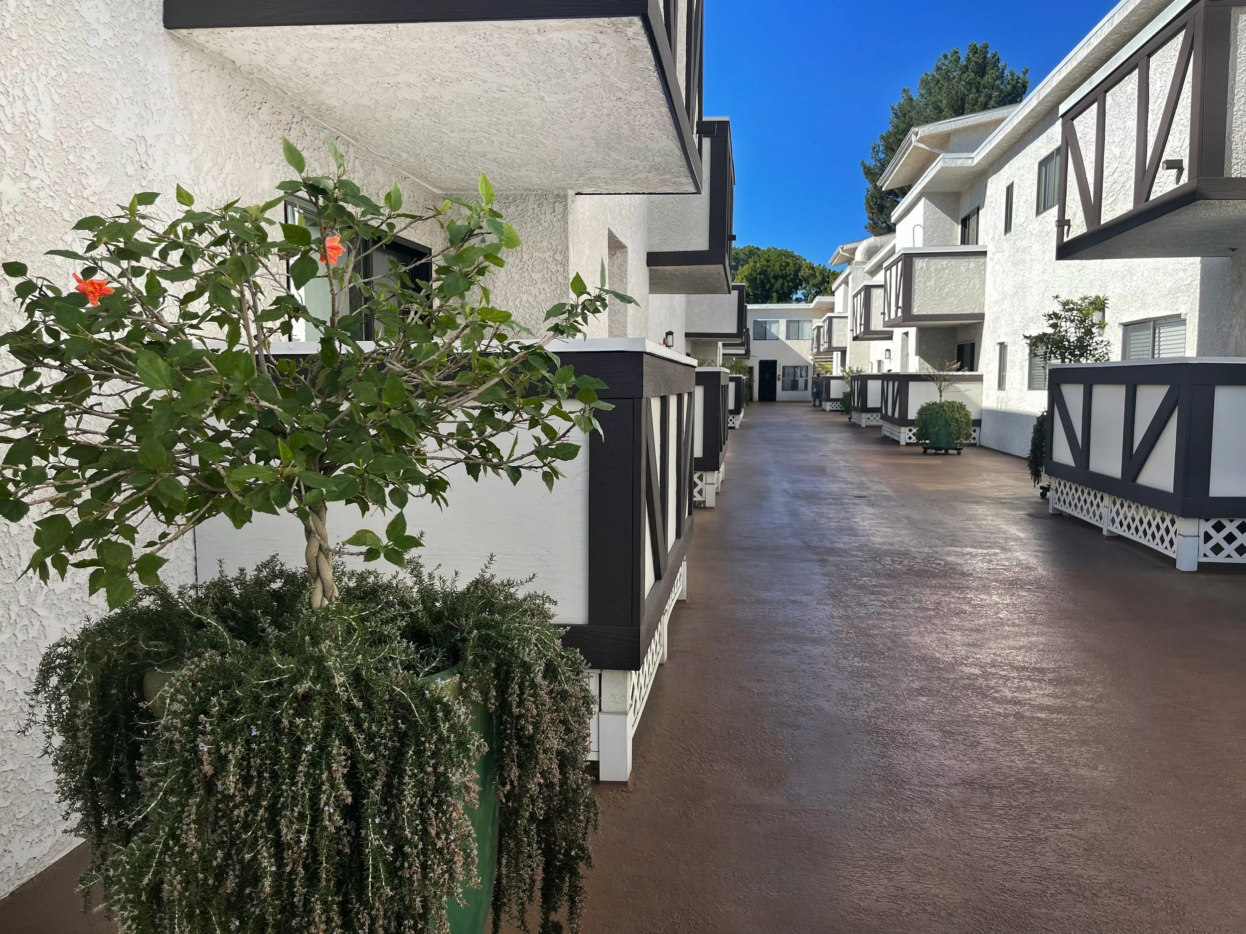 rental listings — Hoffman Plaza & Chelsea Manor Apartments