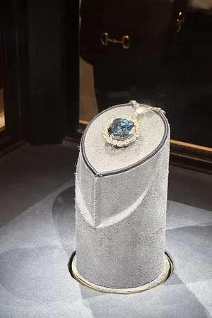 7 Things You Must See at the Smithsonian National Museum of Natural ...