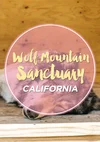 Pet Some Wolves at the Wolf Mountain Sanctuary in California - Travel ...