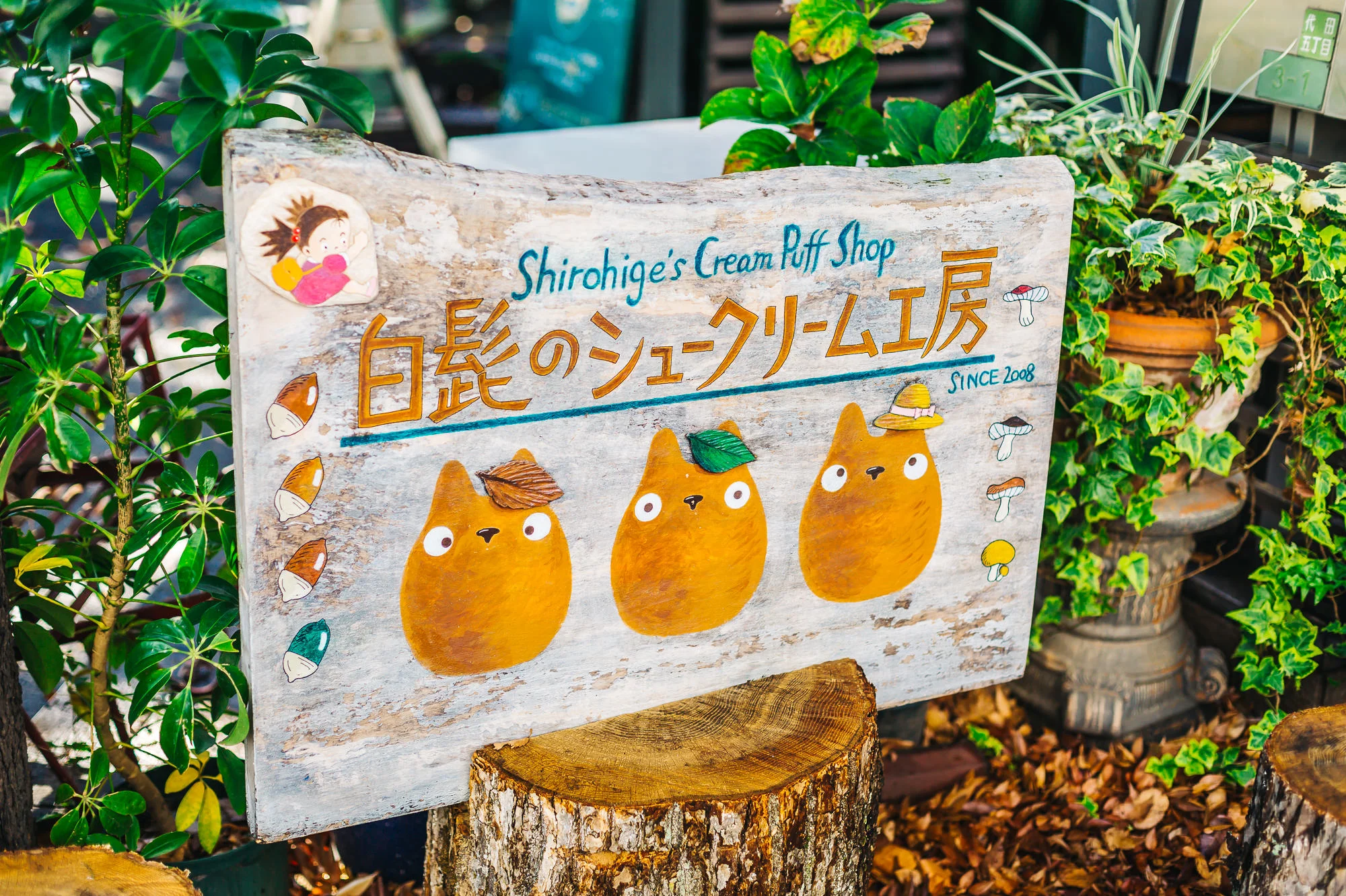 My Neighbor Totoro + Cafe = The Cutest Cream Puffs in Japan - Travel ...