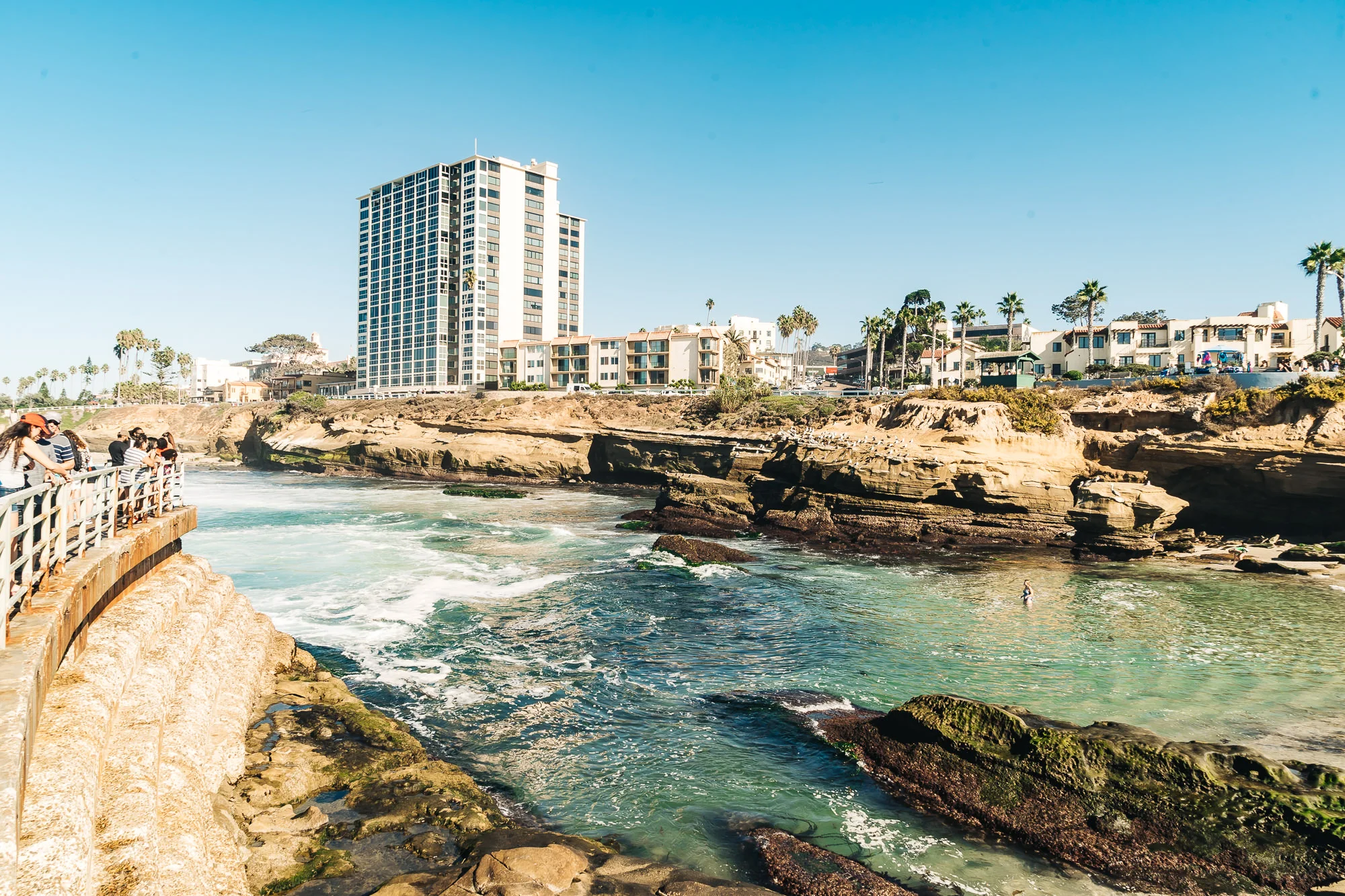 Where to Capture the Best Photos in La Jolla, California - Travel Pockets