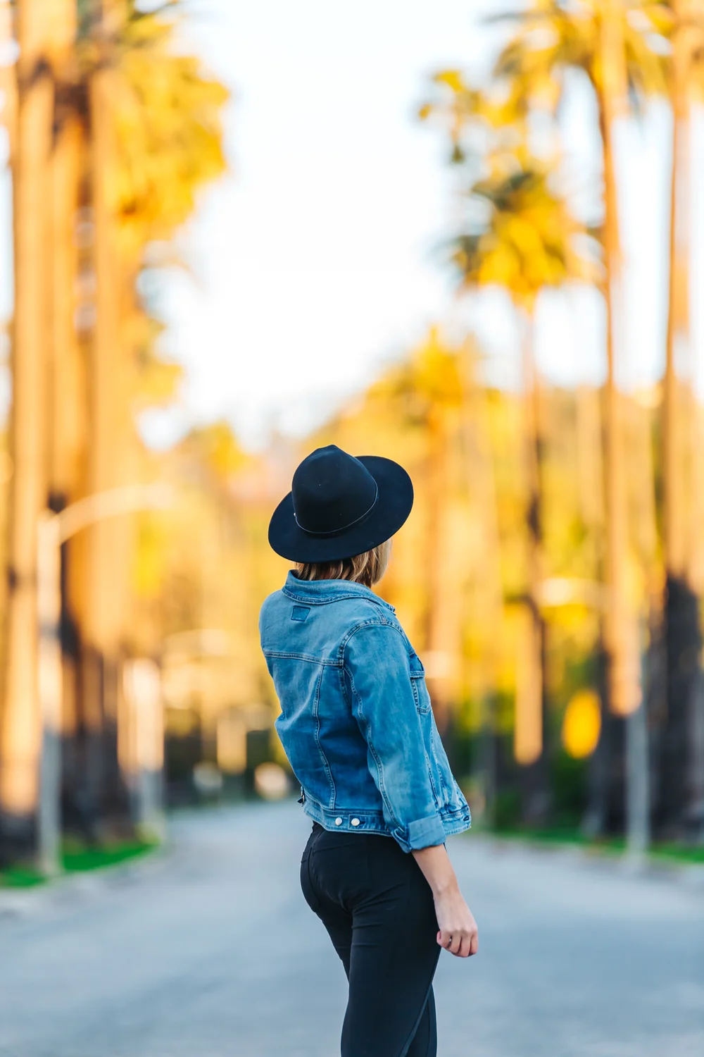 Where to Find the Famous Palm Tree-Lined Street in Beverly Hills ...