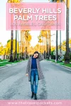 Where to Find the Famous Palm Tree-Lined Street in Beverly Hills ...