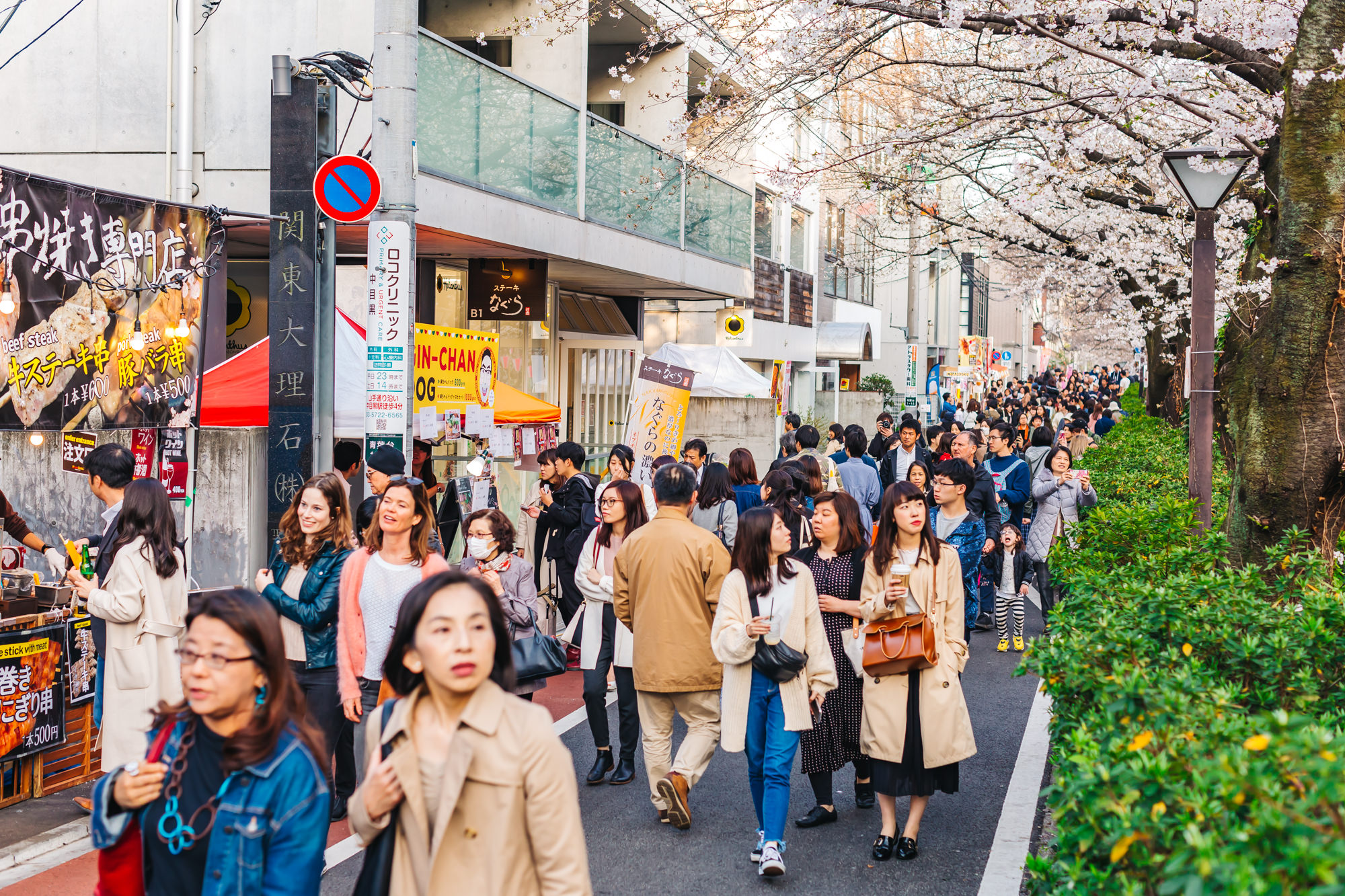 Our Cherry Blossom Experience At The Famous Meguro River in Tokyo ...