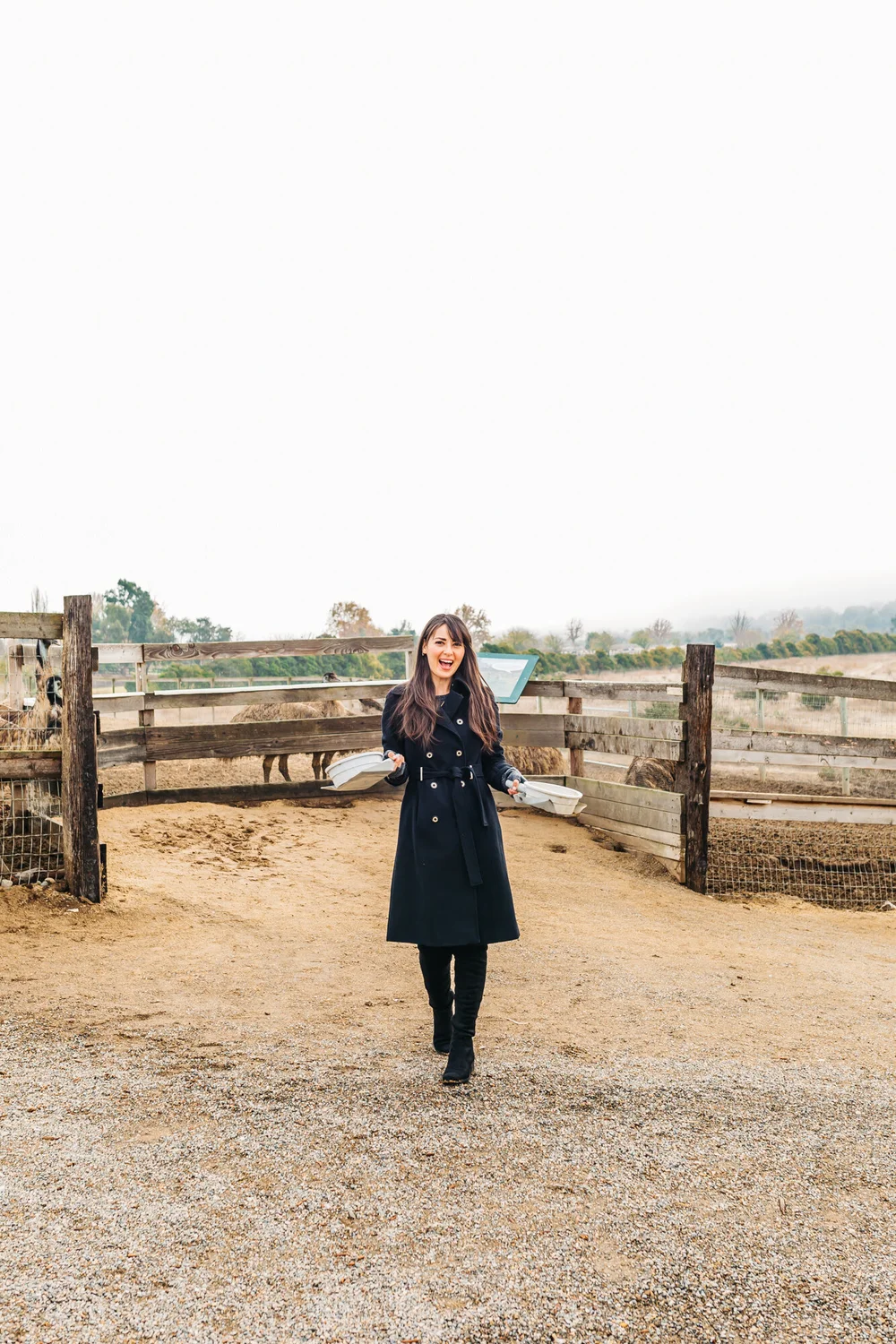 Top 6 Things To Do in Solvang After Thanksgiving Day - Travel Pockets