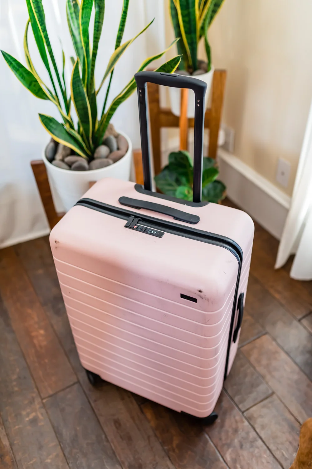 Best Road Trip Travel Luggage and Organizers for 2021 and Beyond ...